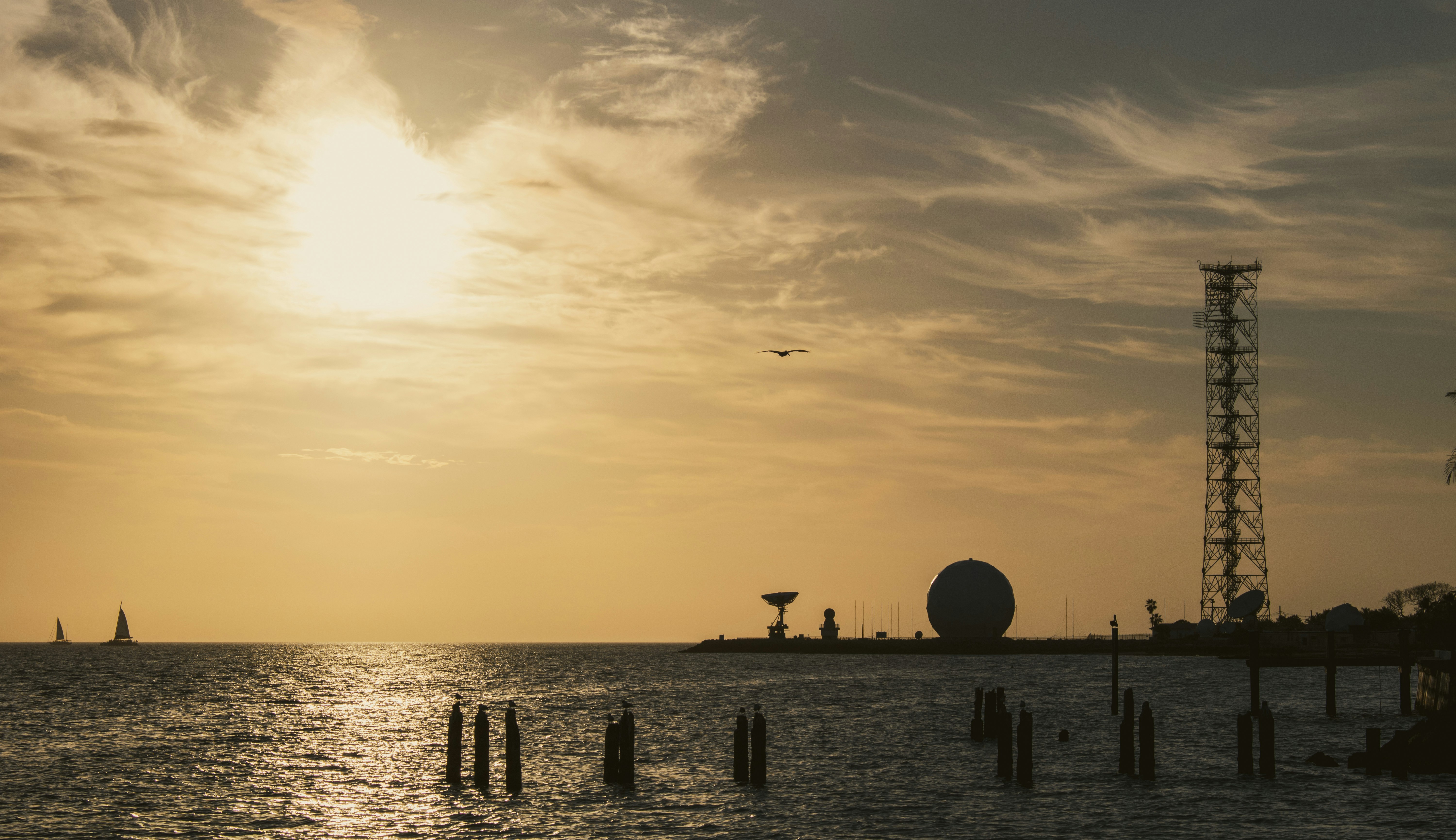 Silhouettes Against a Golden Horizon