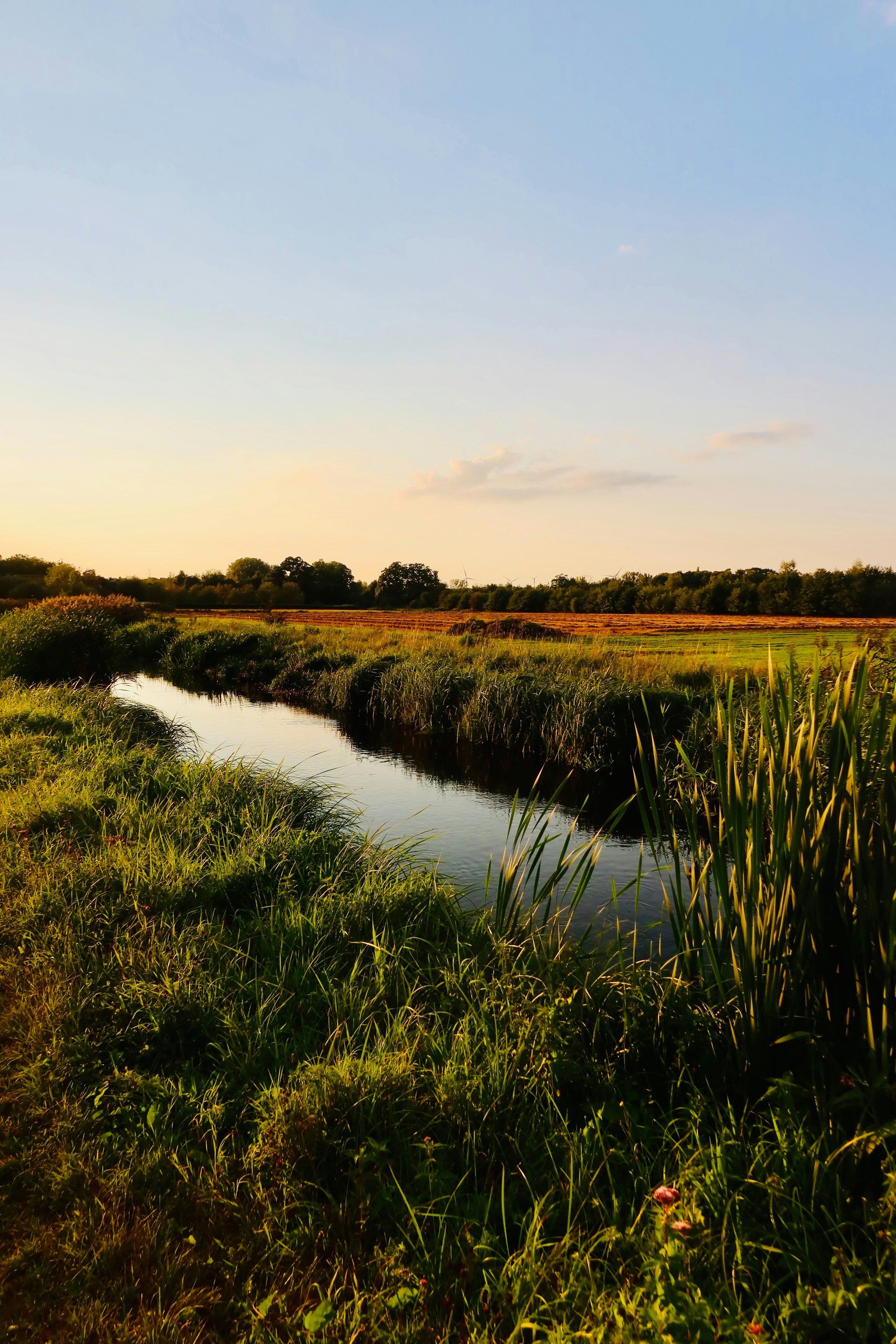 A narrow stream flows through a grassy field at sunset.