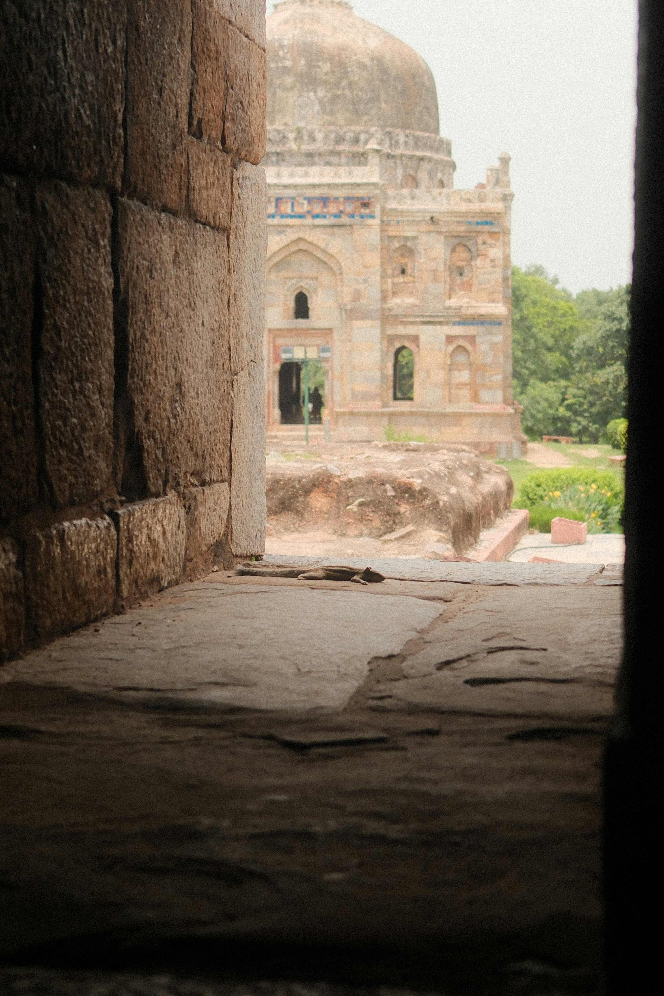 Framed Heritage: A Glimpse Through Time