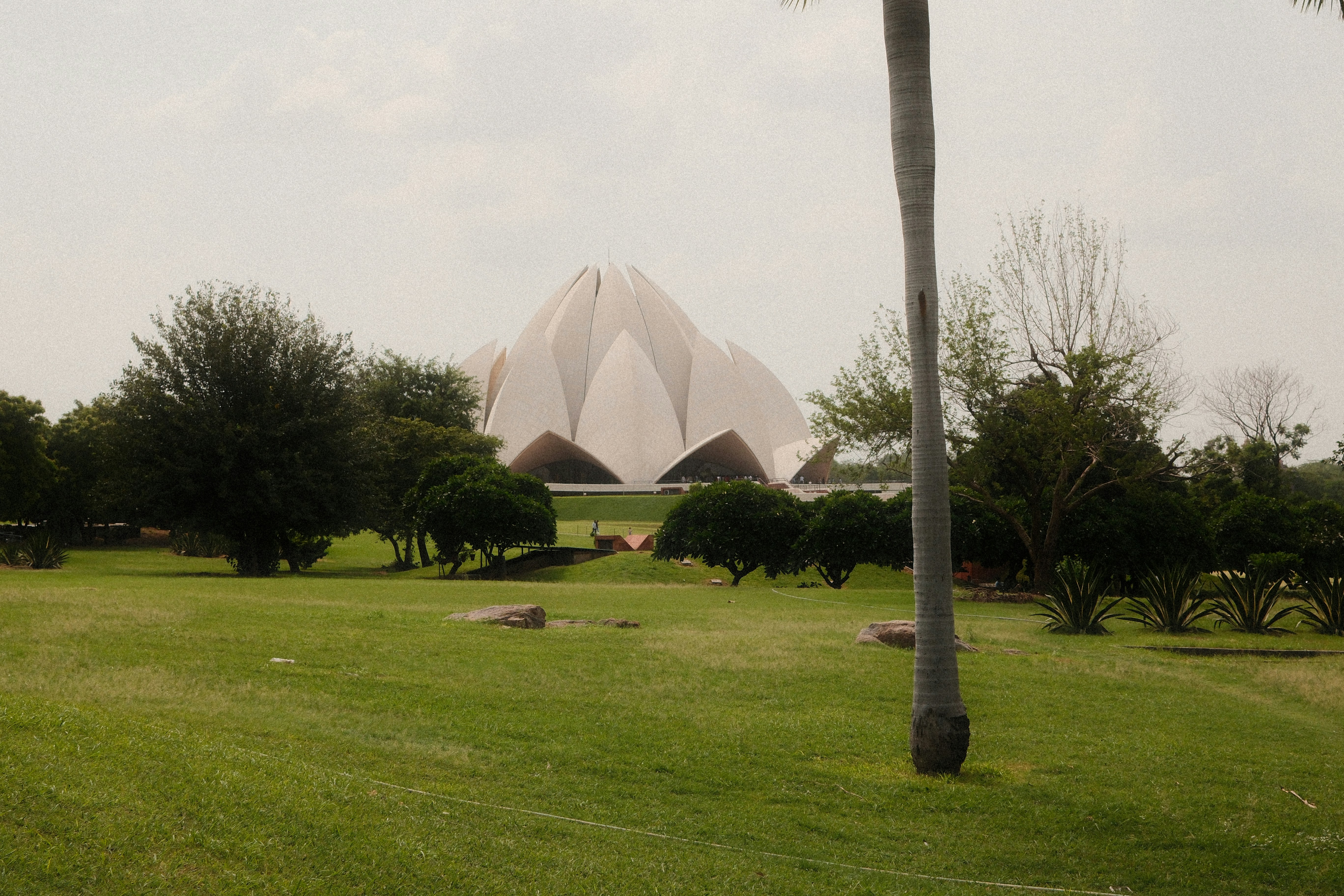 Lotus in the Landscape: A Harmony of Nature and Architecture