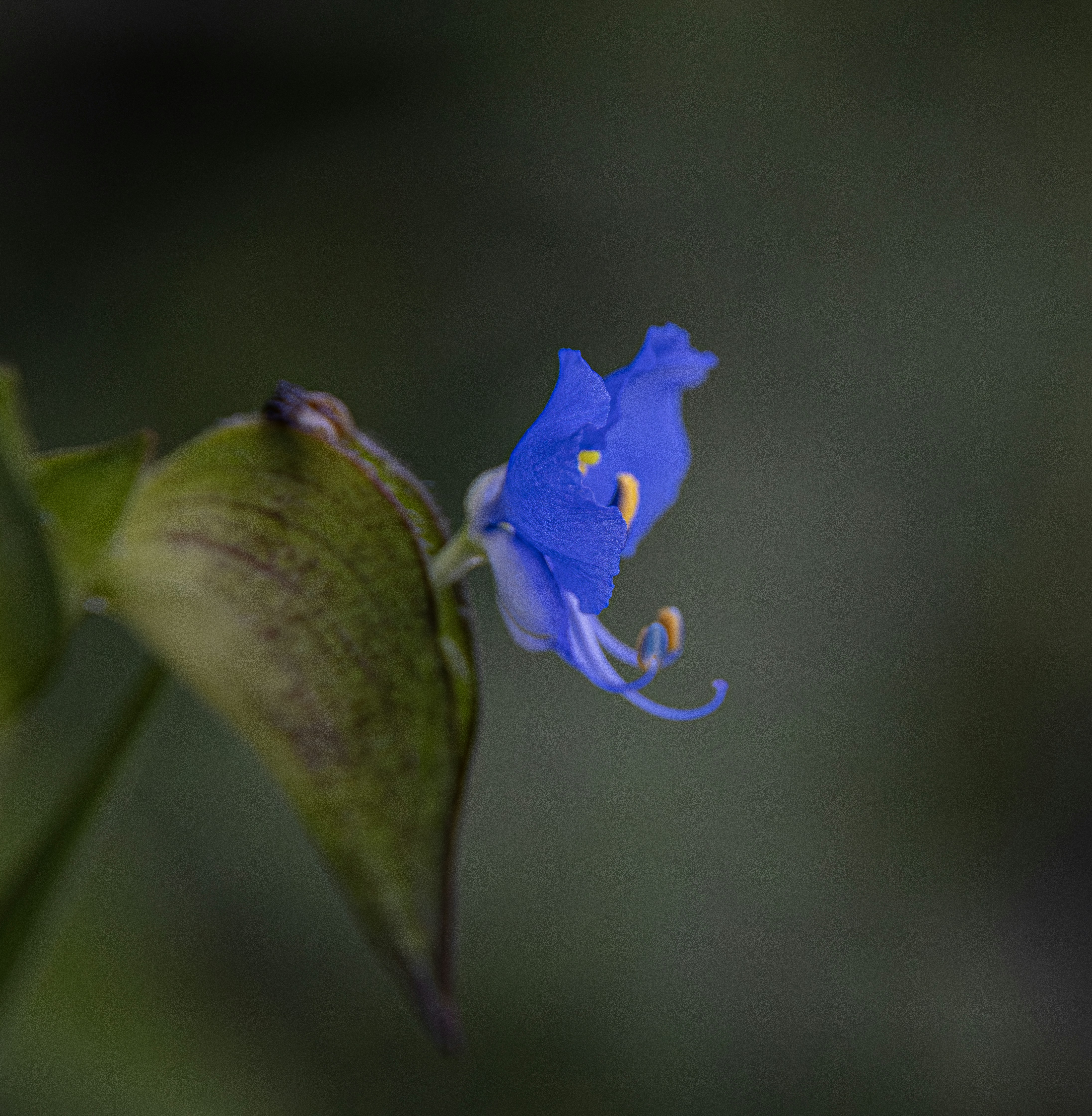 Photo by Alfonso Betancourt with Canon EOS R