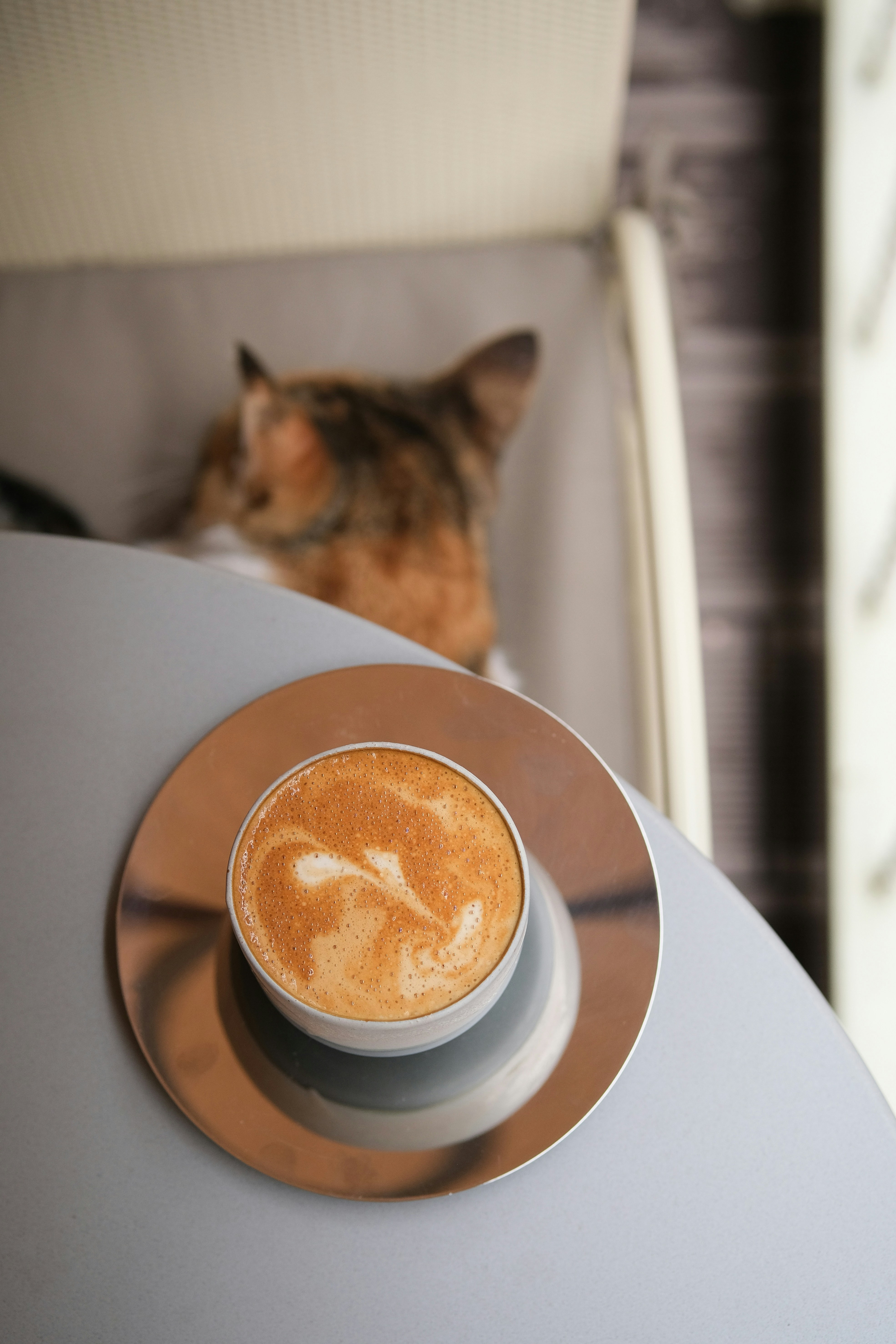 Morning Ritual: A Cozy Encounter