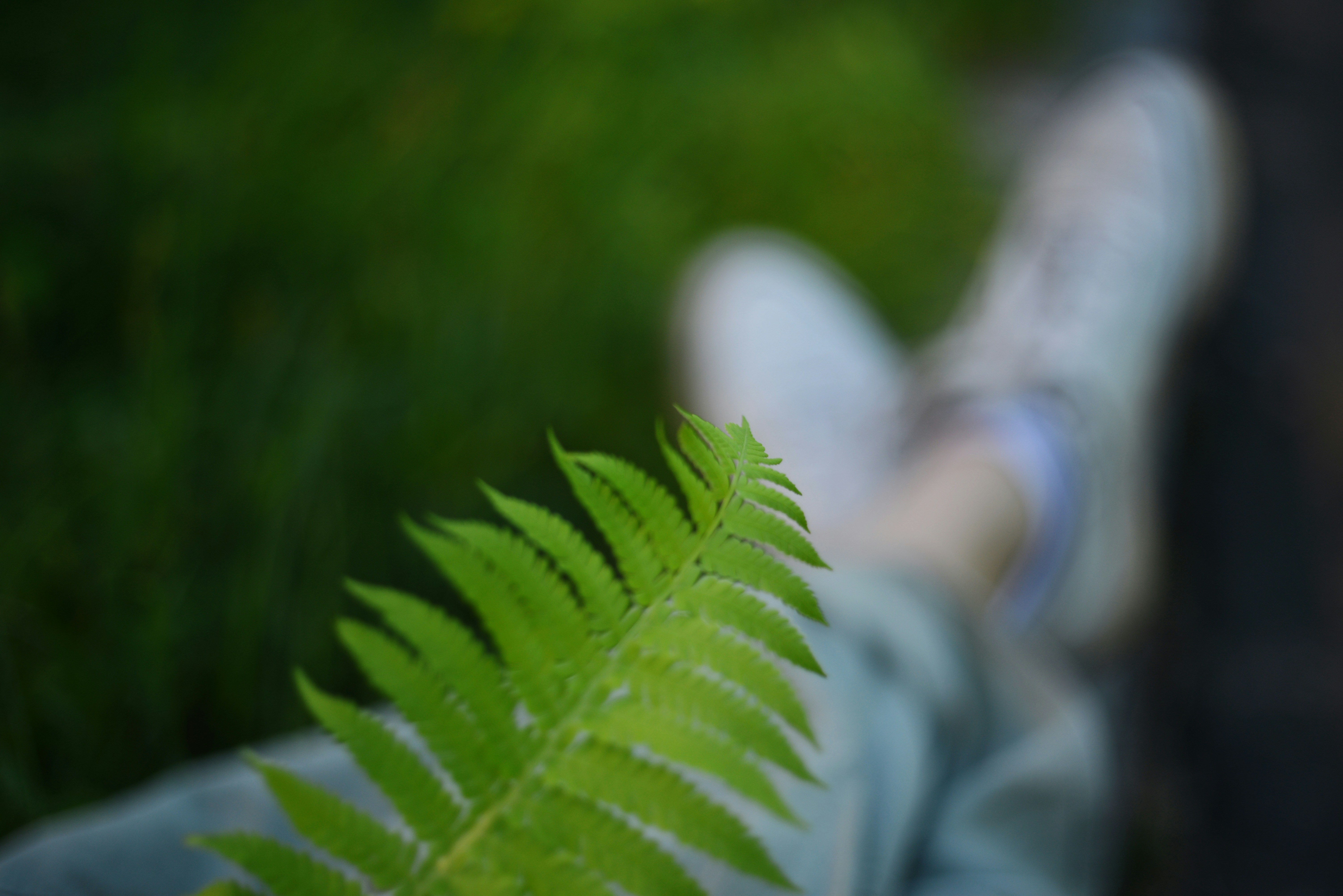 Nature's Embrace: A Moment of Serenity