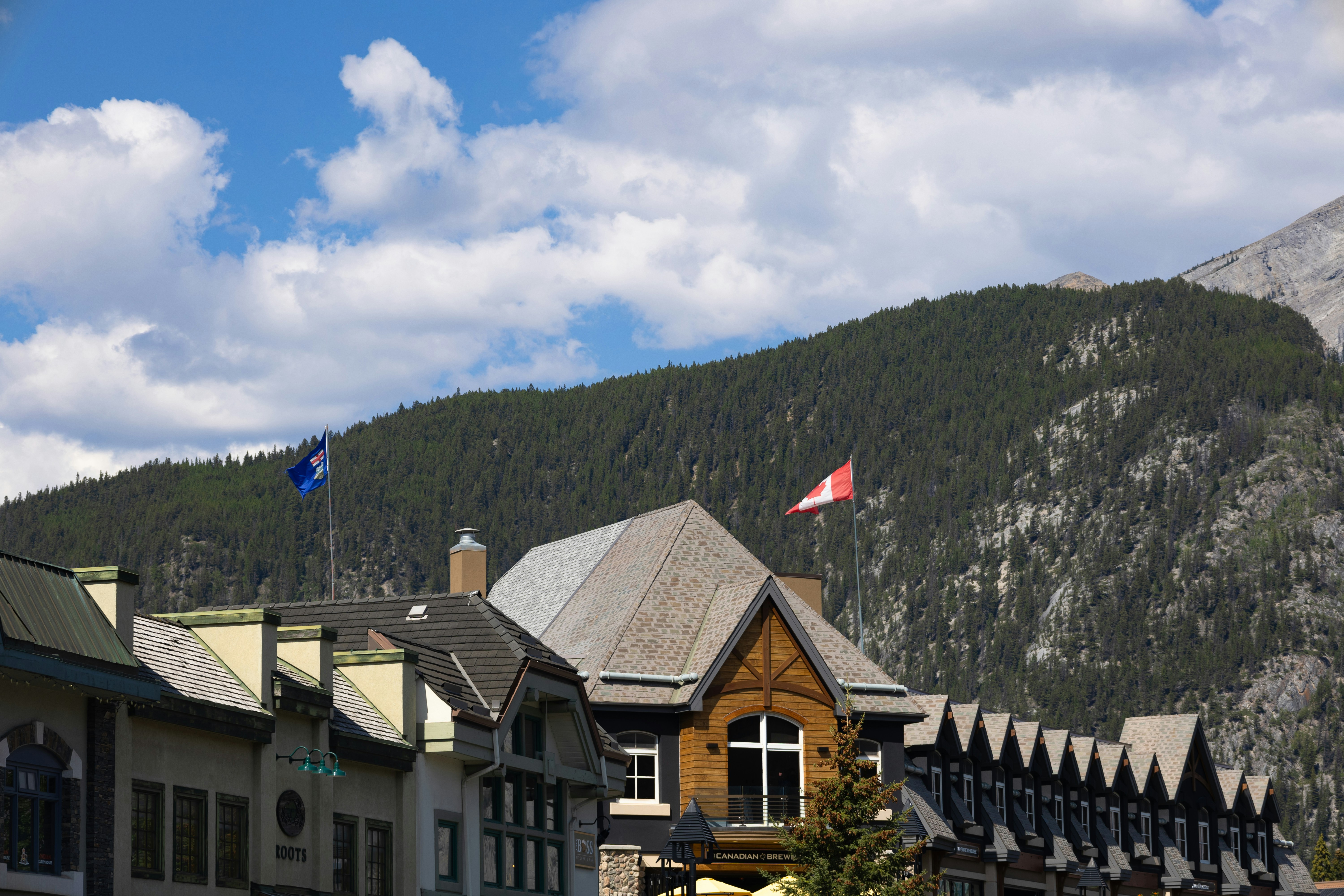 Mountain Embrace: A Town's Harmony with Nature