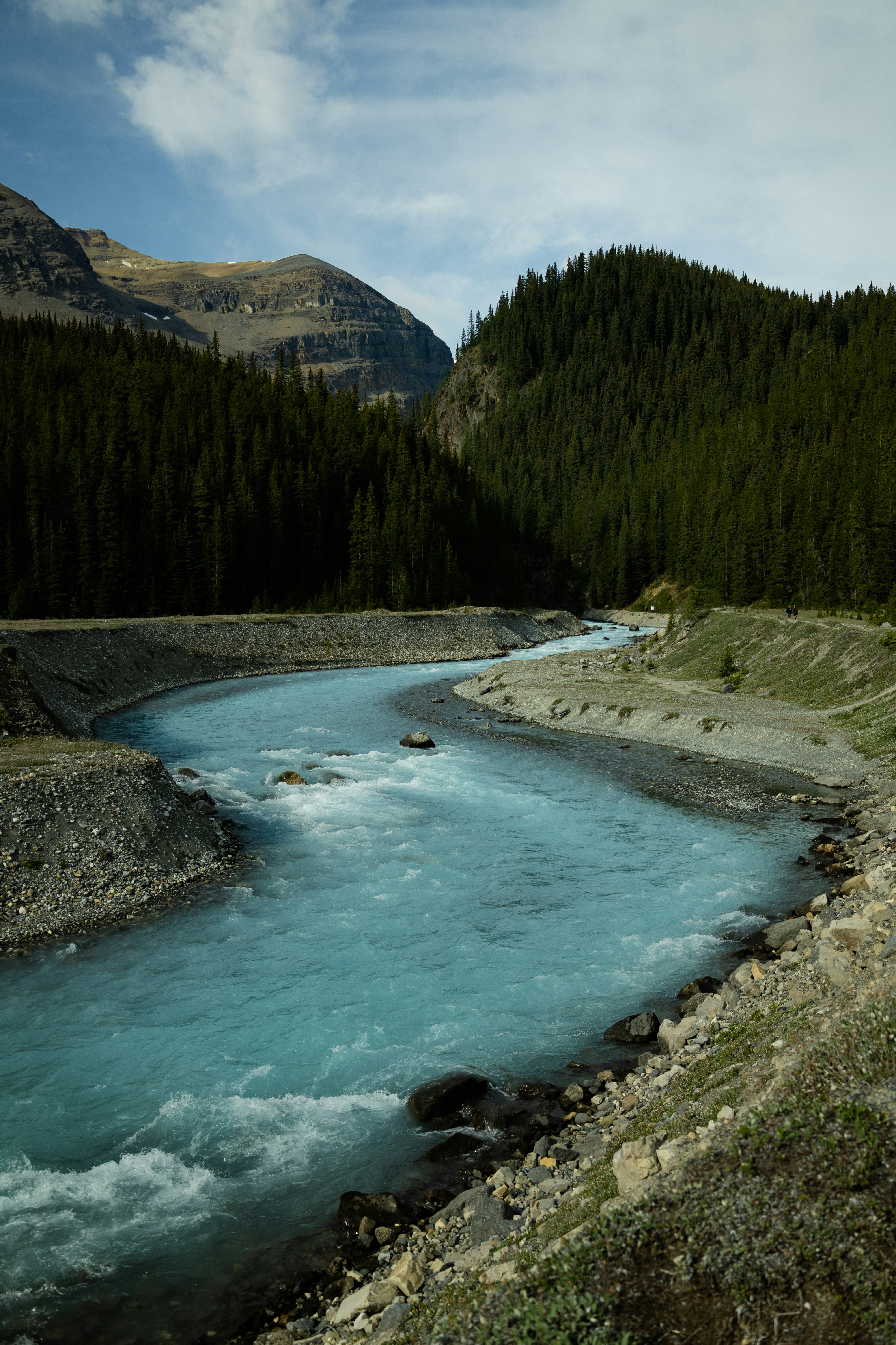 Glacial River Carves a Valley Between Pine-Streaked Cliffs
