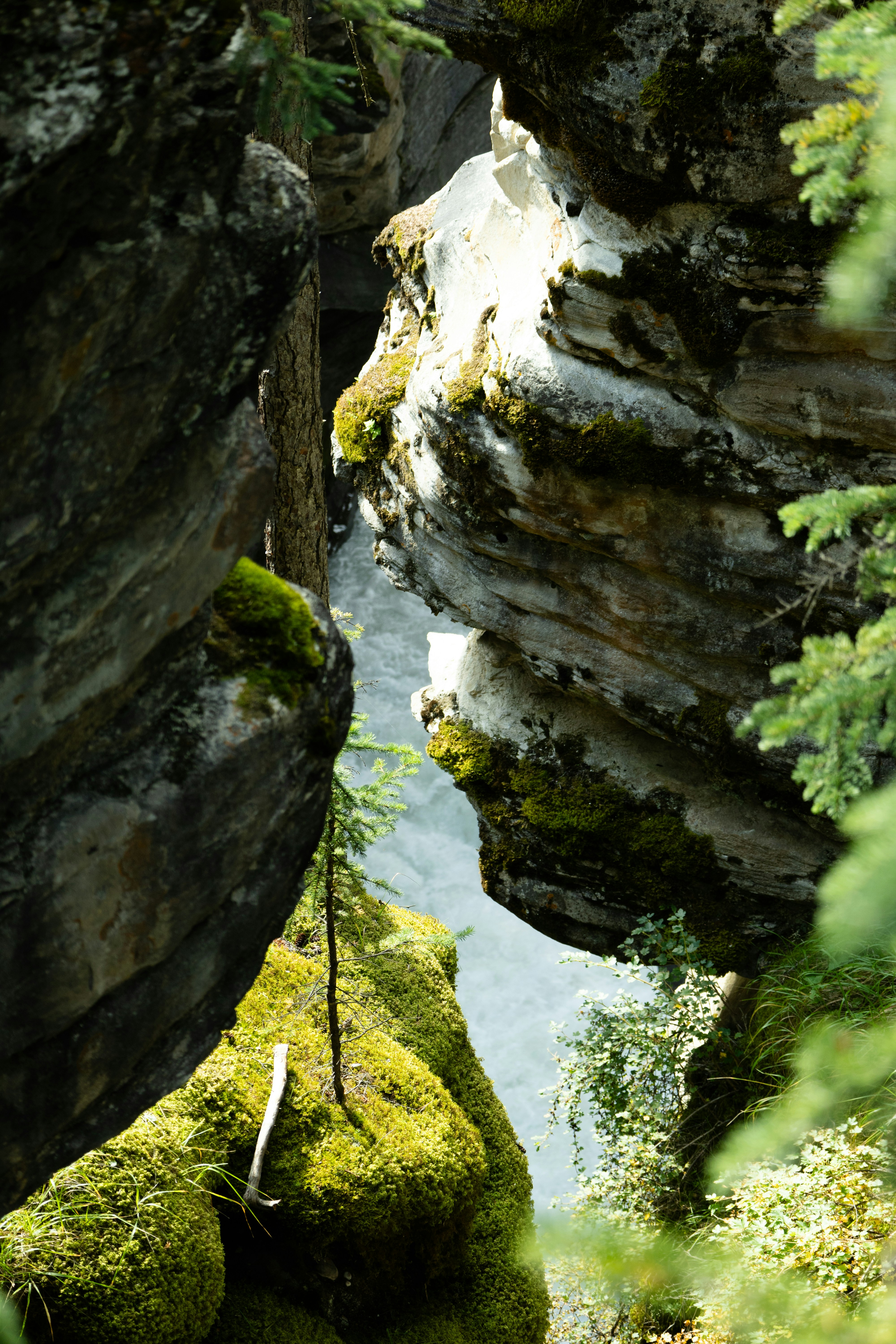 Nature's Sculpted Passageway