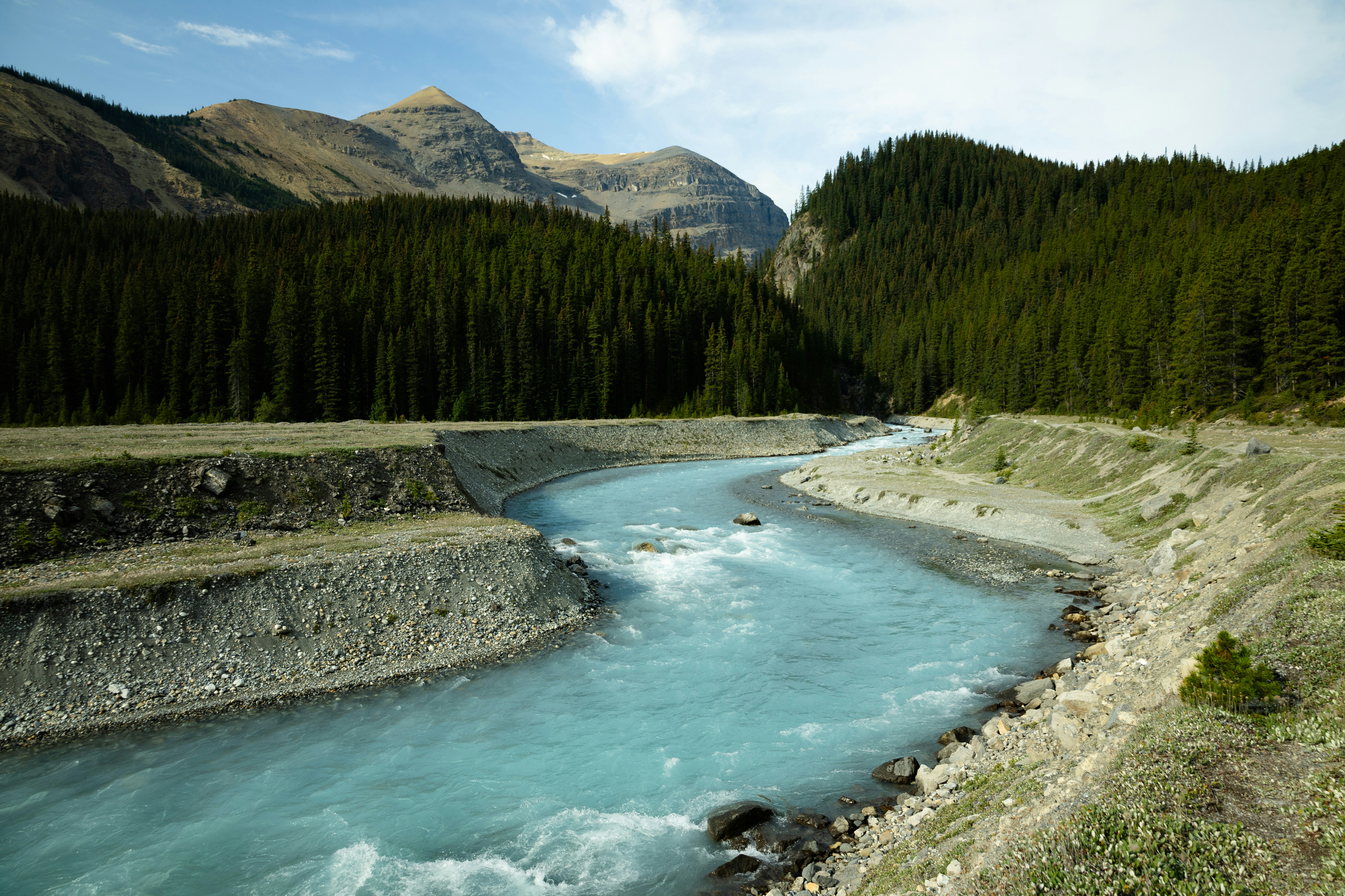 Winding Waters: Nature's Serpentine Flow
