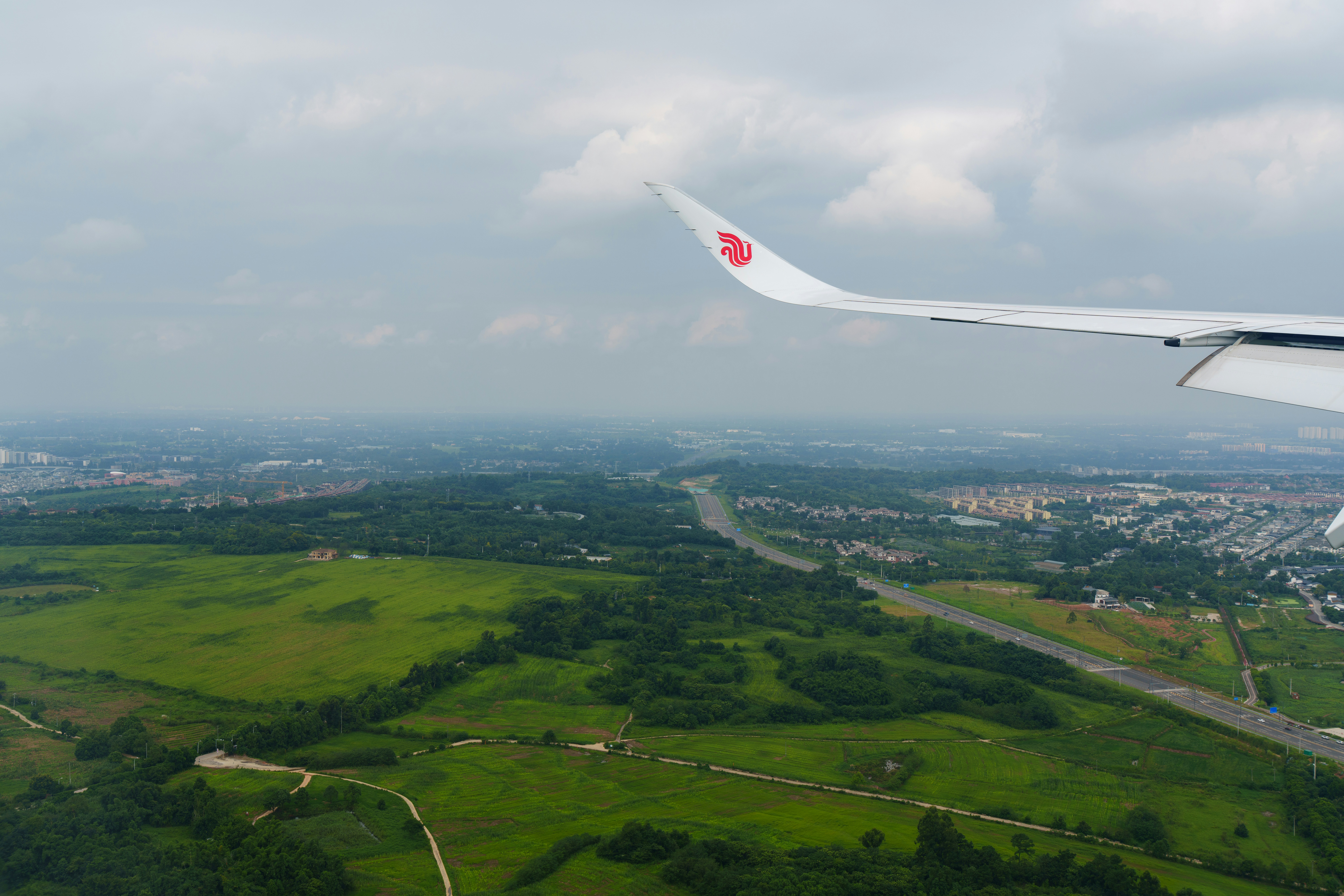 Wings Over Verdant Landscapes