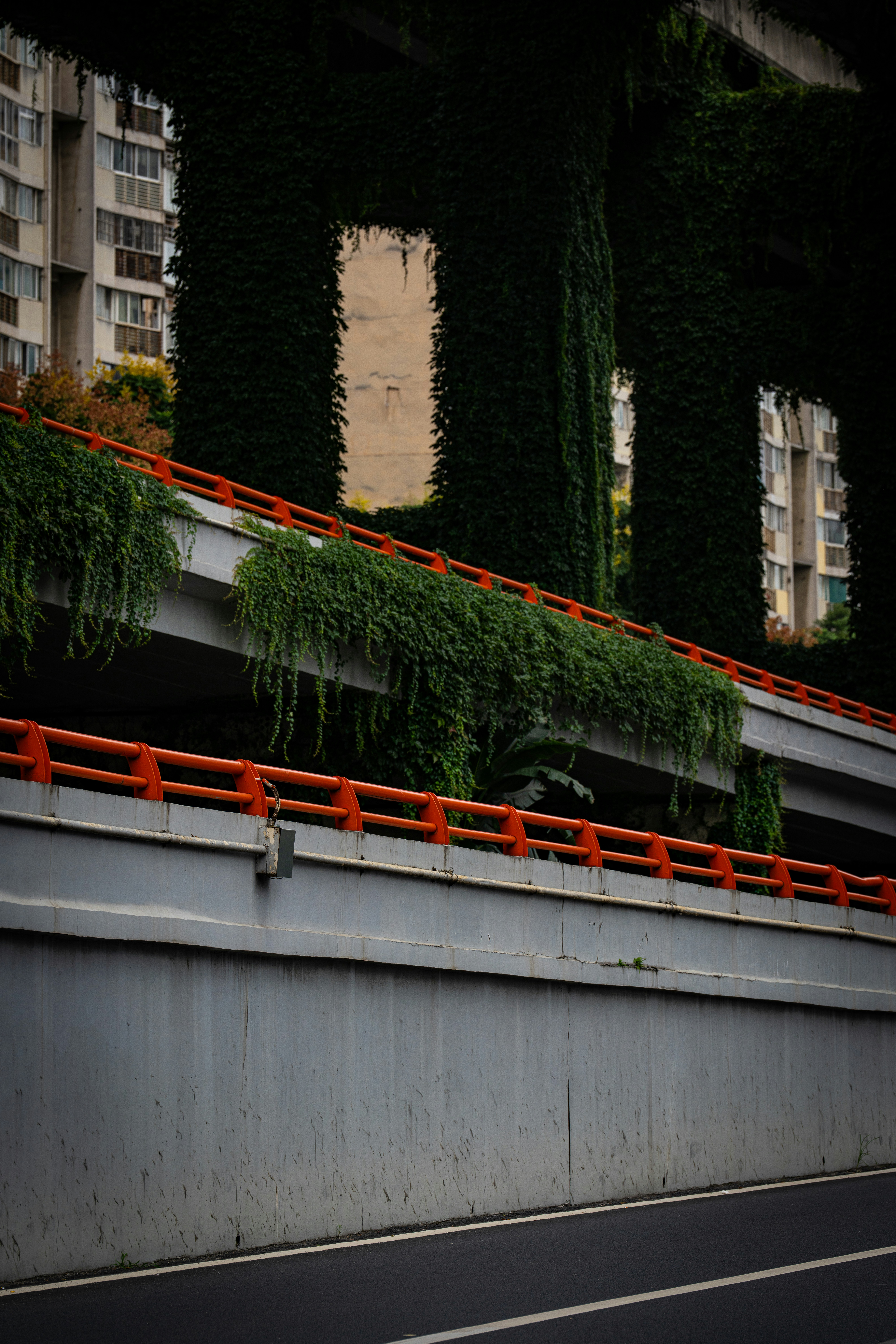 Overpass covered in green ivy with orange railings.
