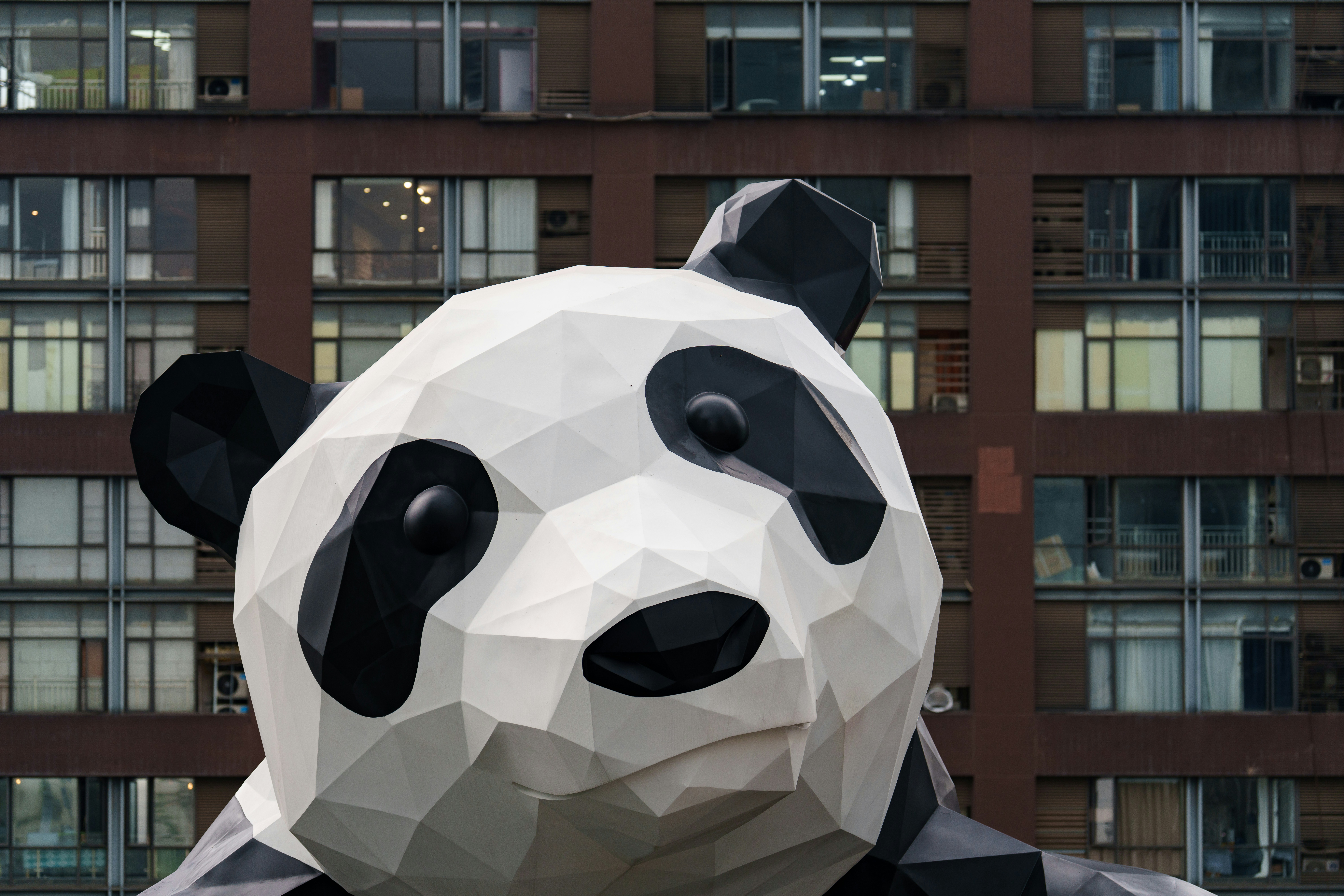 Photo by Declan Sun with Sony Alpha 7R V