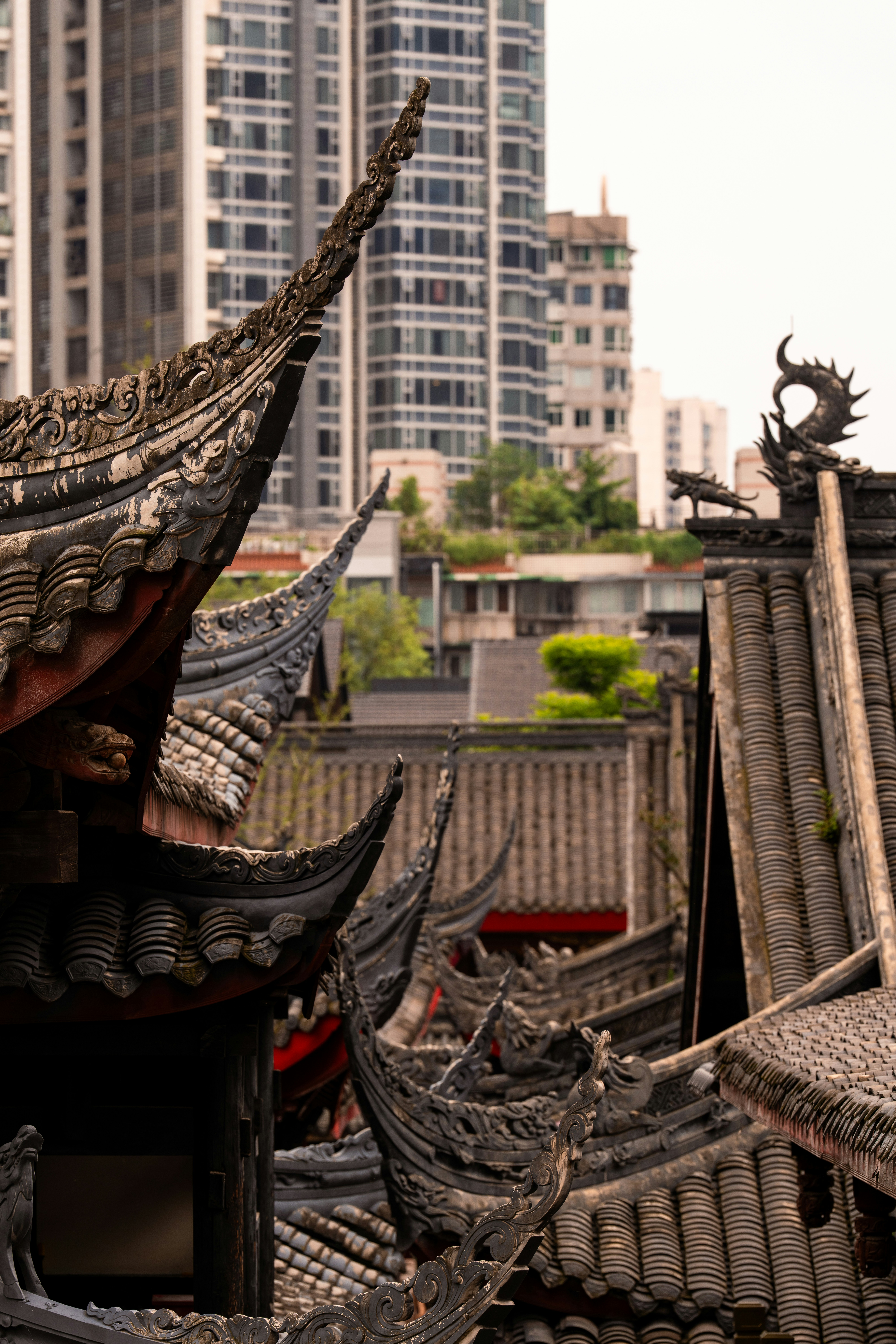 Traditional Chinese rooftops contrast with modern skyscrapers in an urban landscape. The intricate designs of the ancient structures are prominently featured.