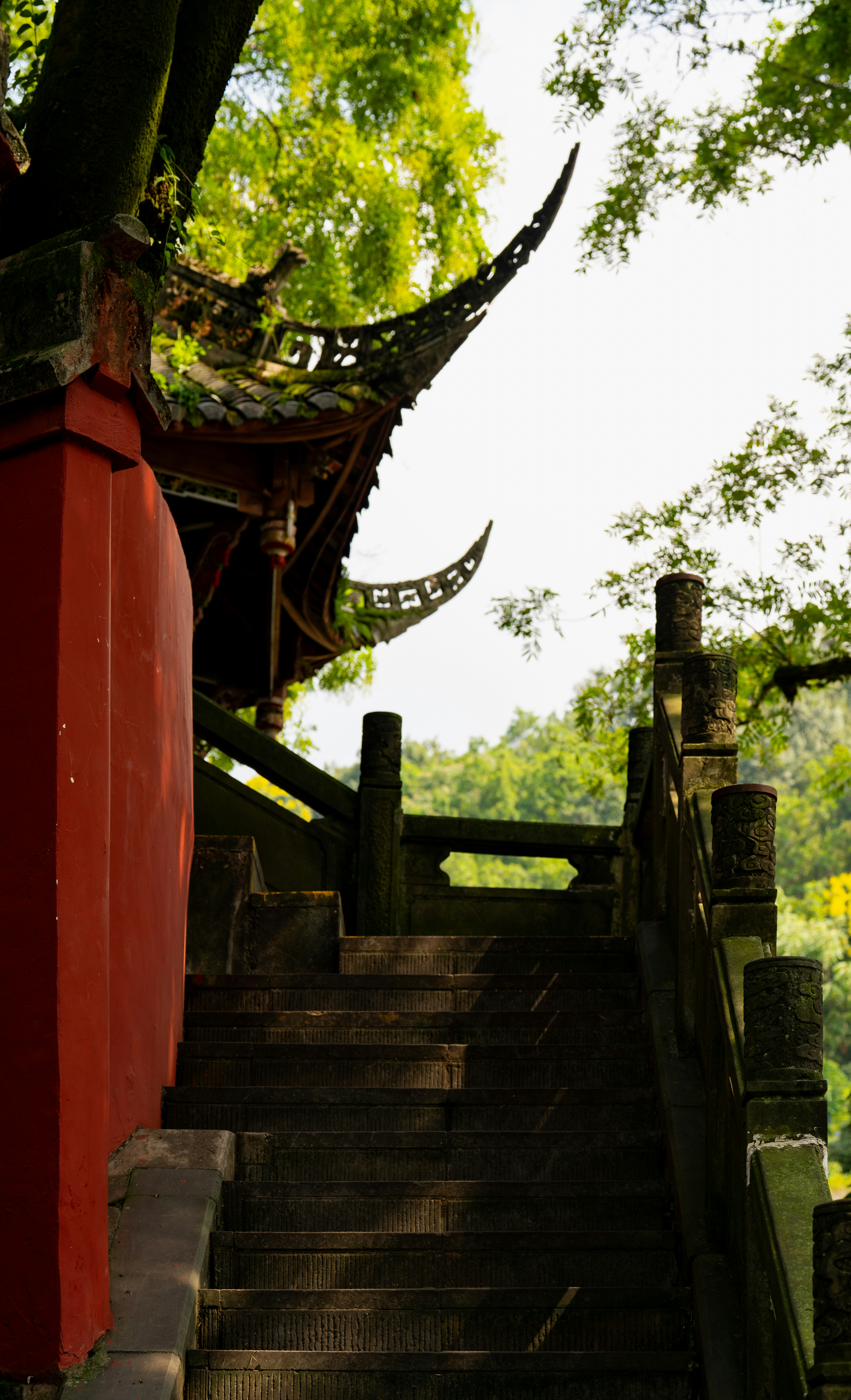 Ascending Through Time: A Journey to Serenity