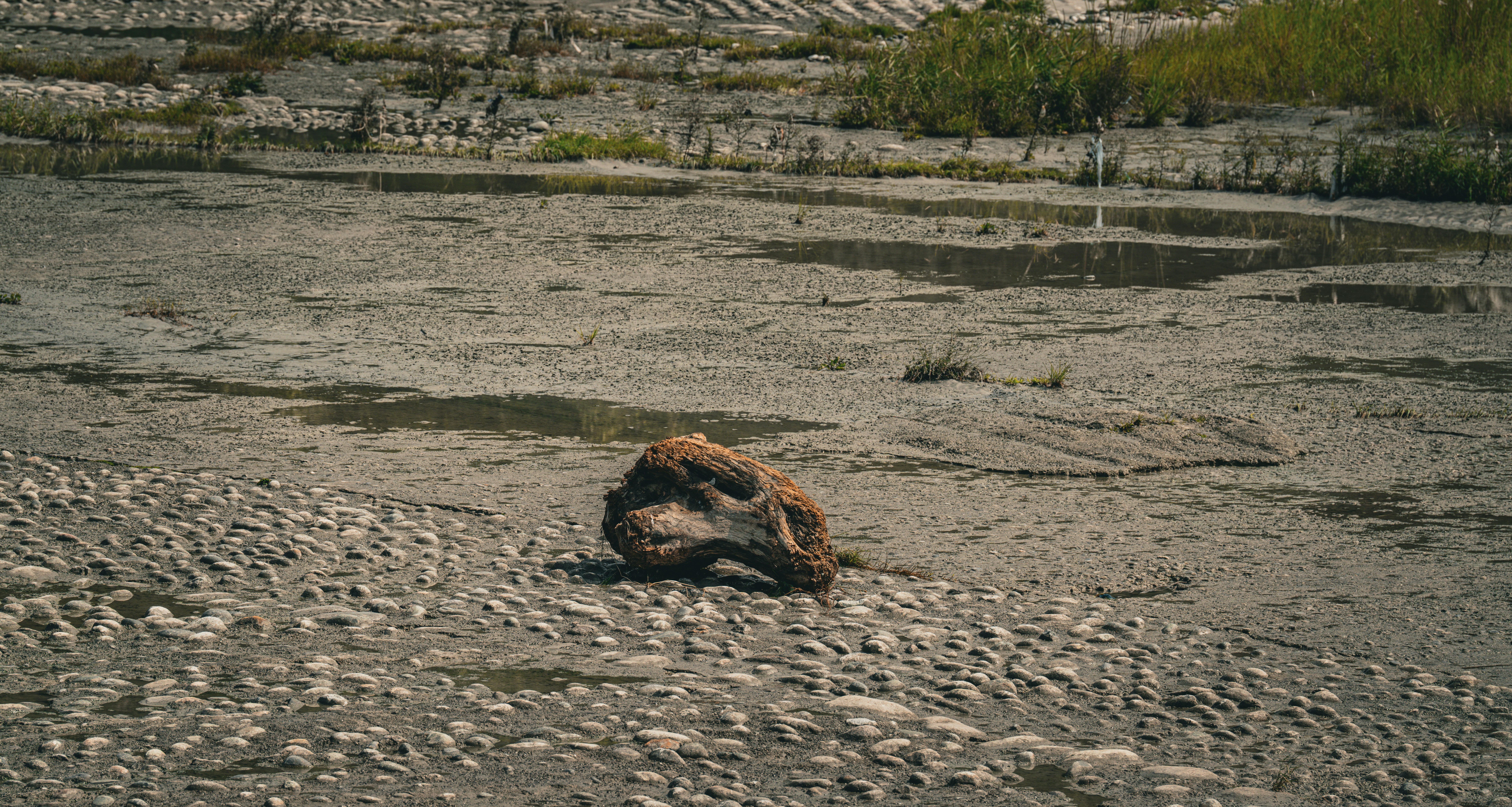 Nature's Sculpted Remnants