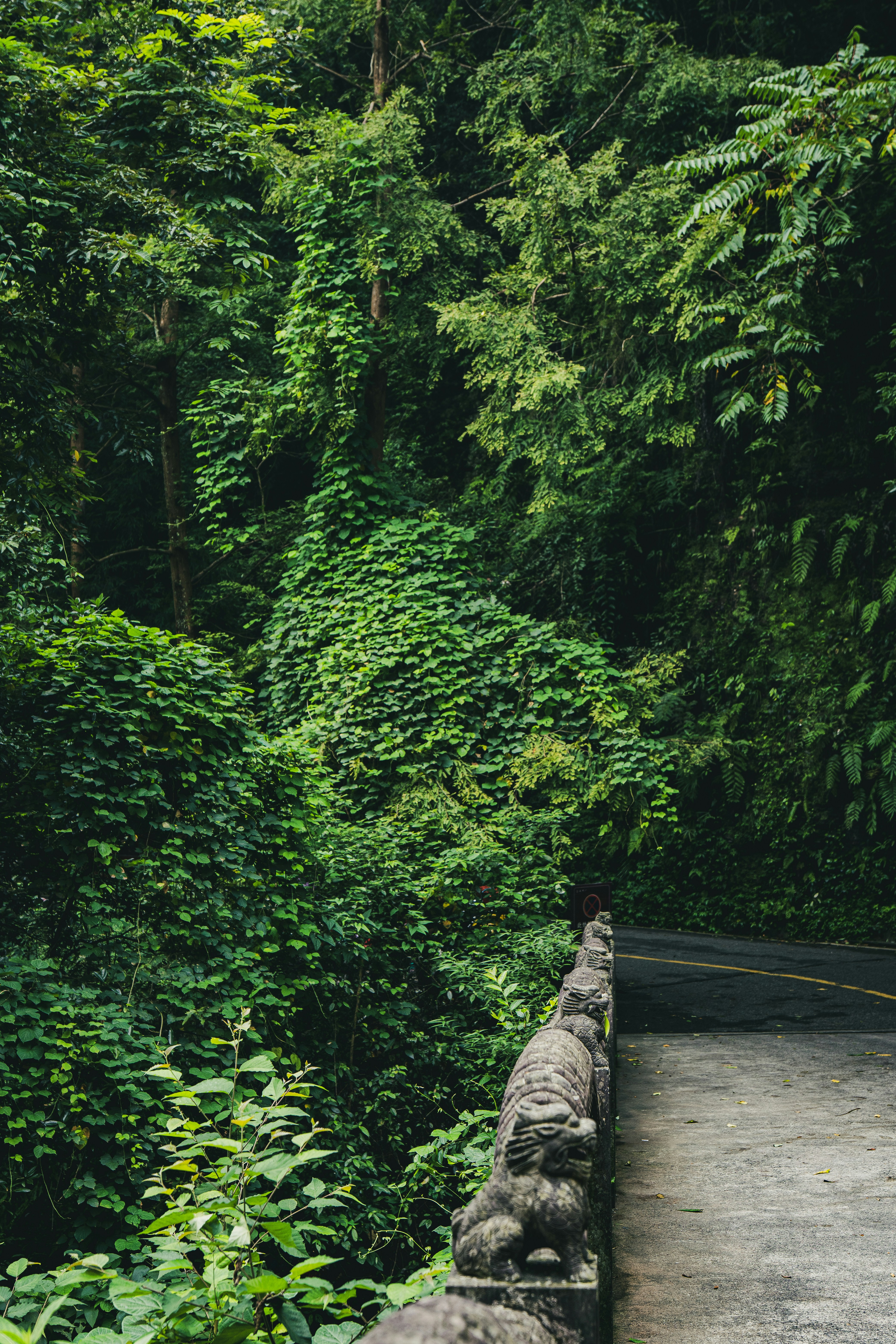 Stone lion statues line a road through lush jungle foliage