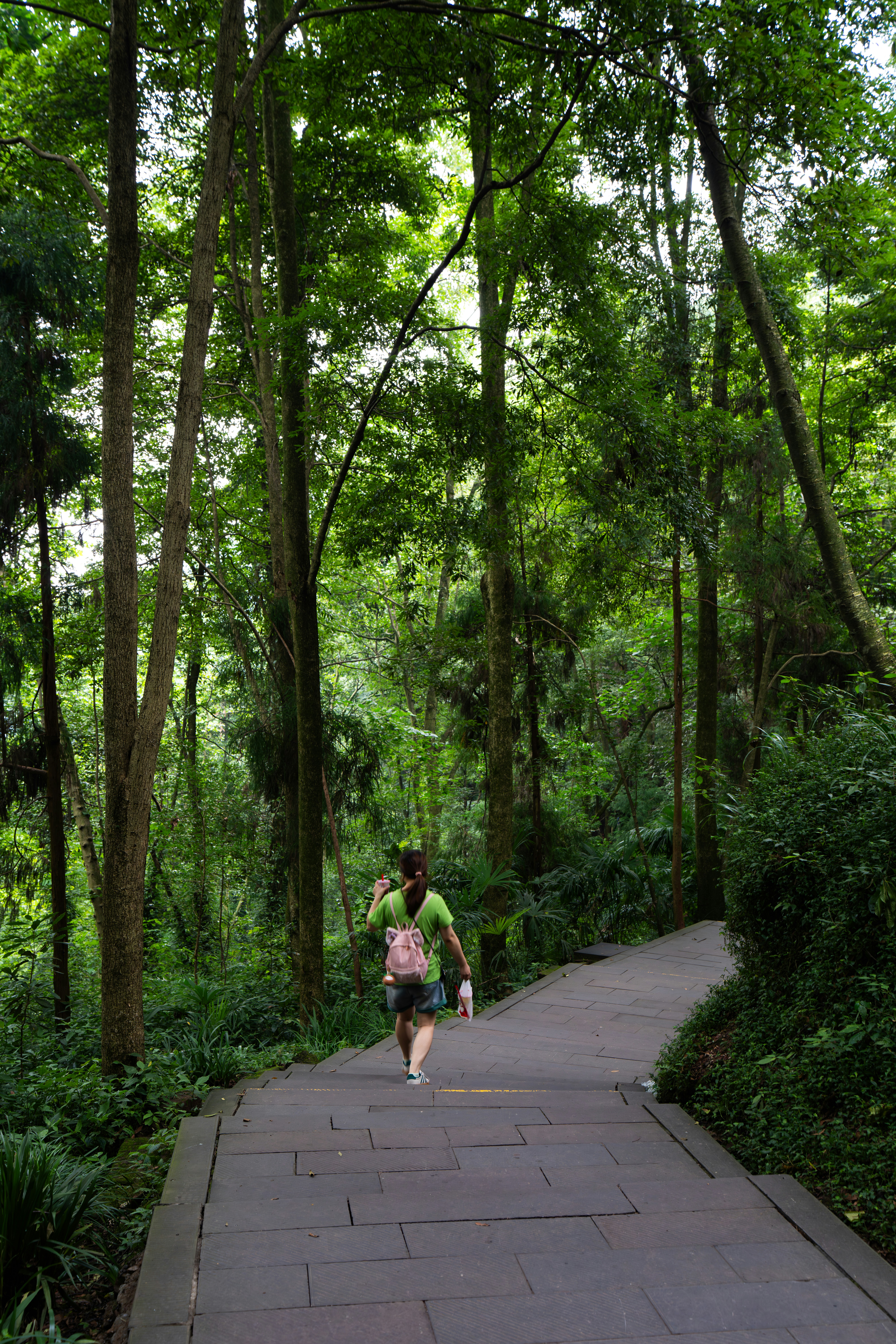 A person walks down a stone path in a lush forest.