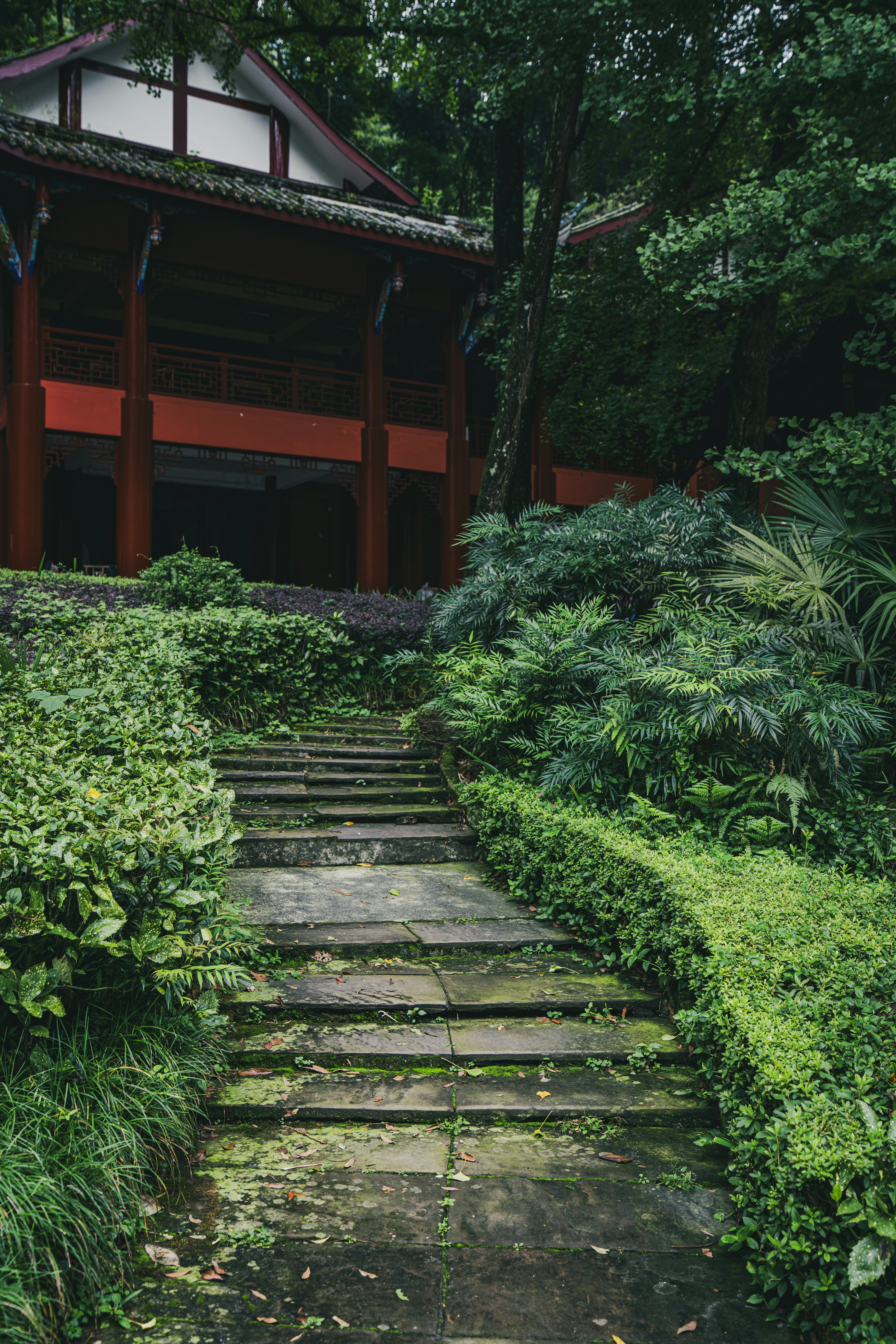 Stone steps lead to a traditional building surrounded by greenery.