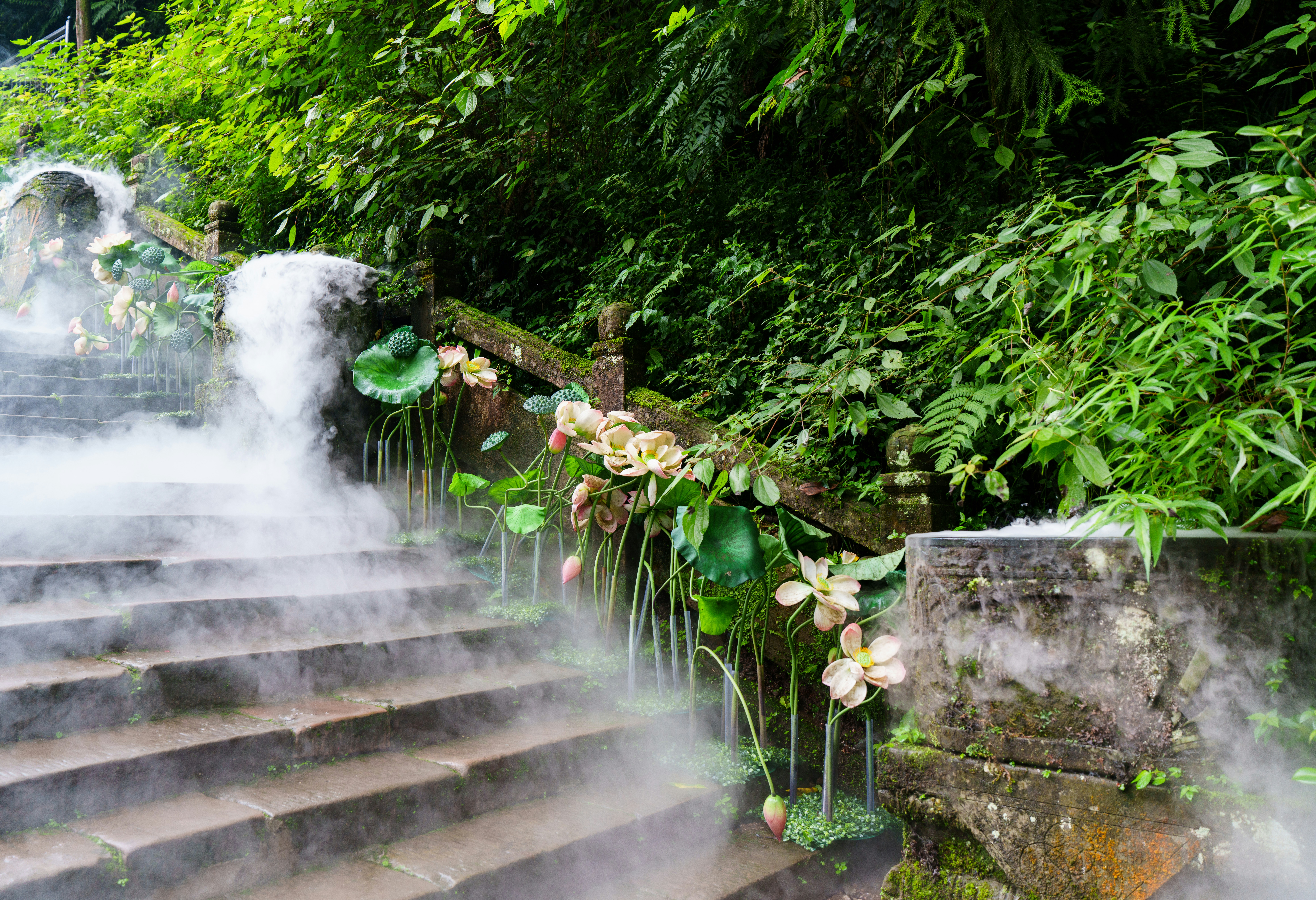 Stone stairs with mist and lush green foliage