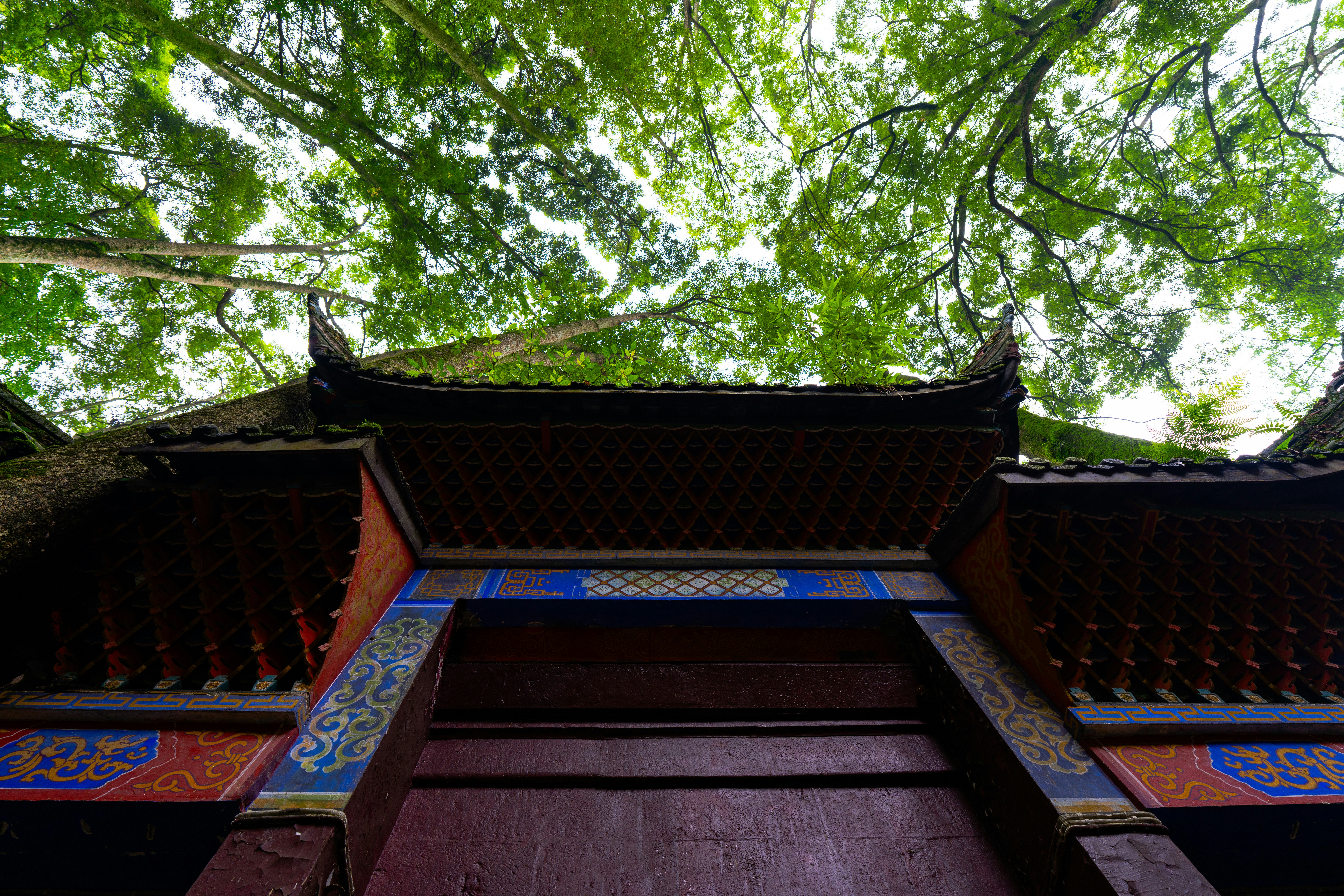 Intricate wooden architecture framed by lush green foliage, showcasing the harmony between nature and craftsmanship.