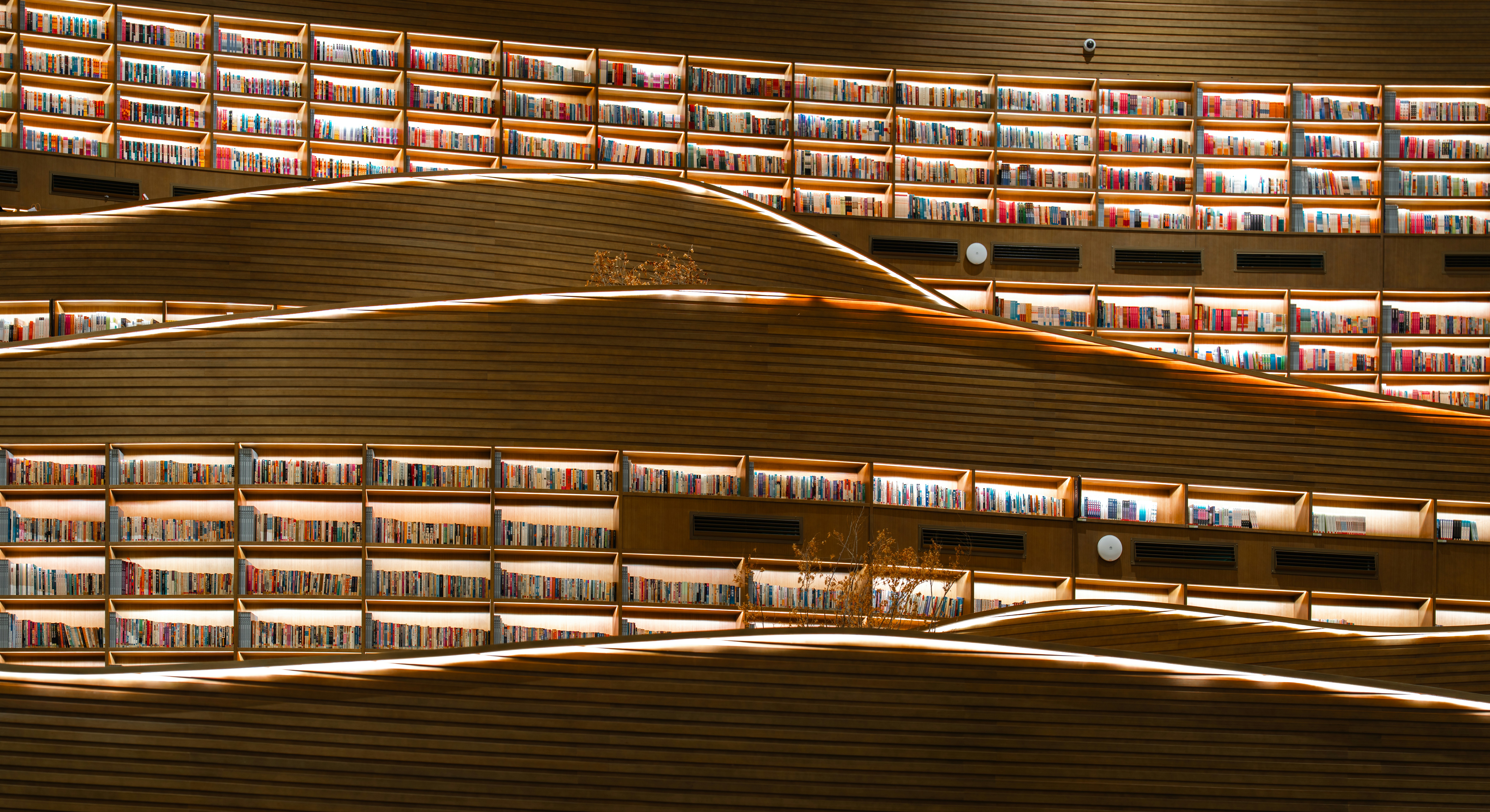 Modern library with curved shelves filled with books