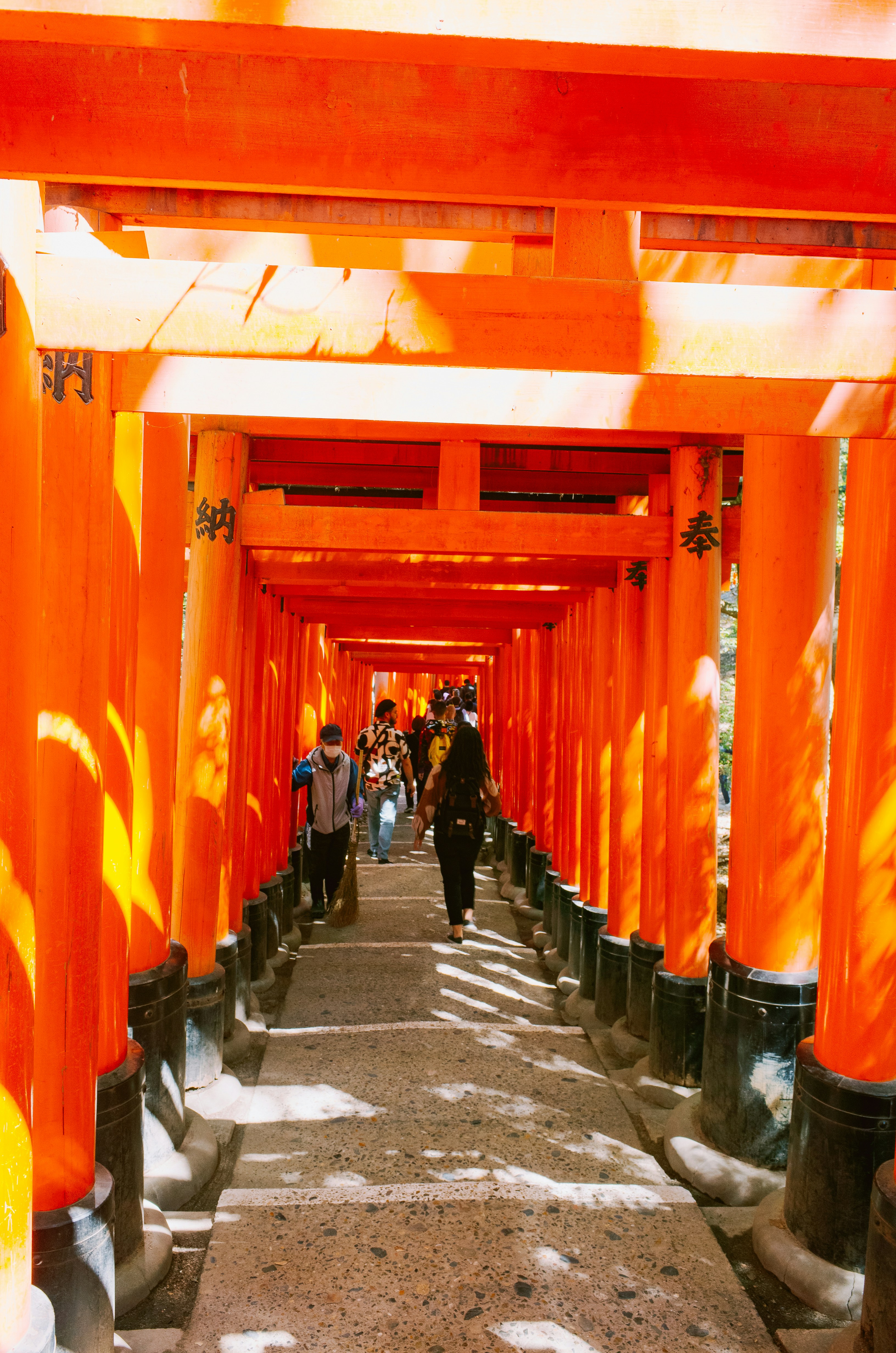 Journey Through the Vibrant Torii Pathways