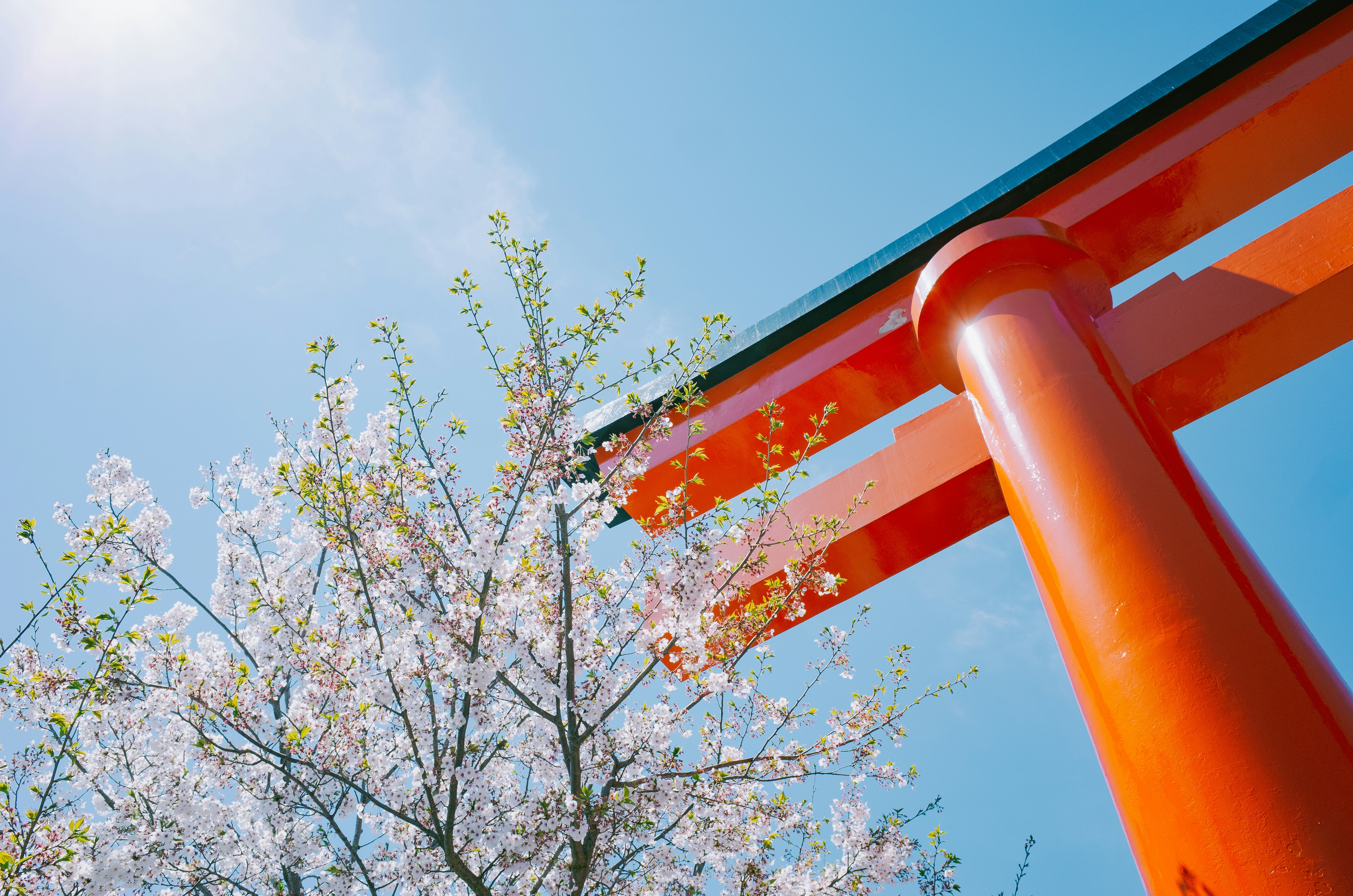 Crimson Torii Piercing a Spring Sky