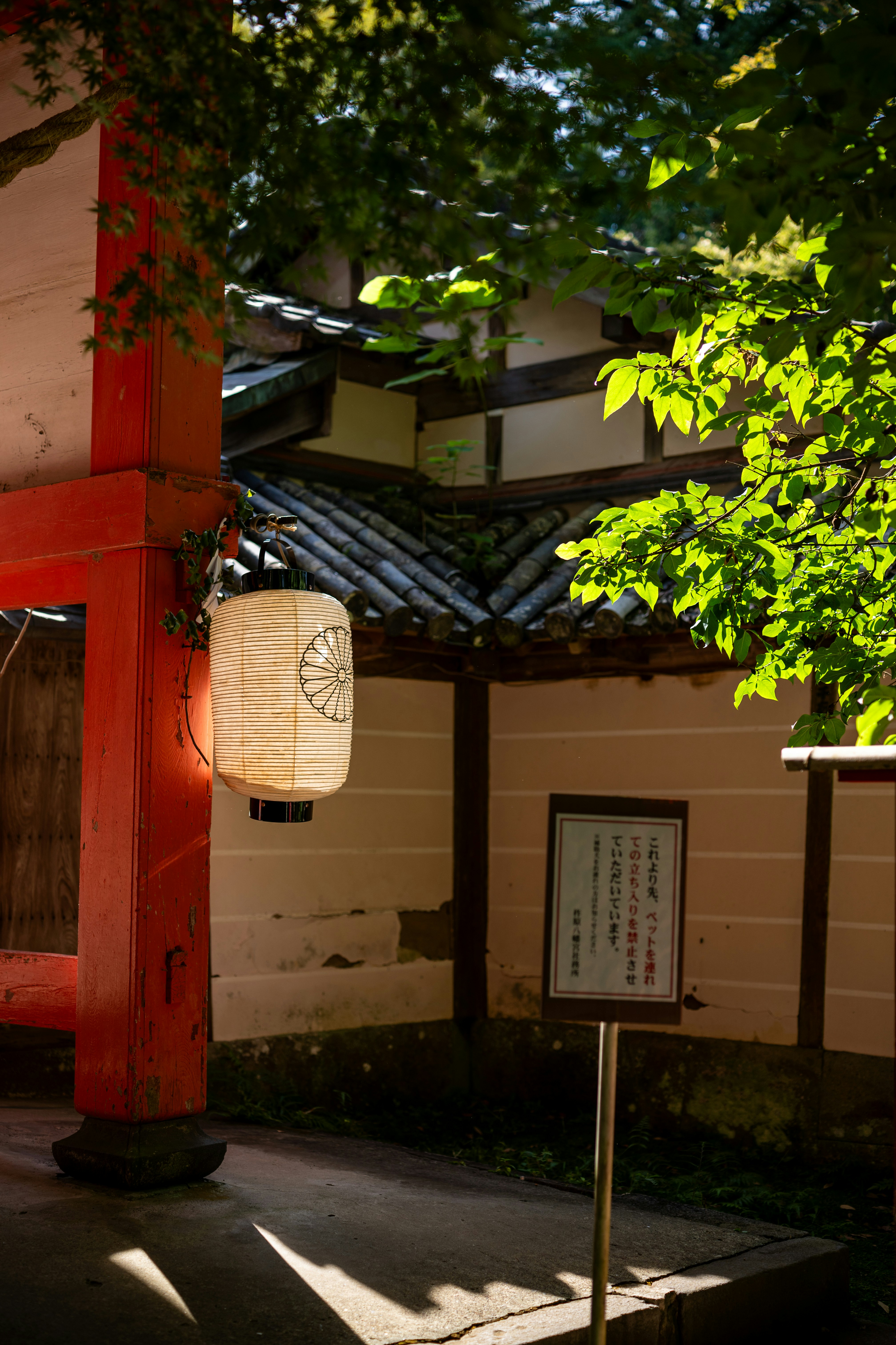 Traditional japanese building with red gate and lantern.
