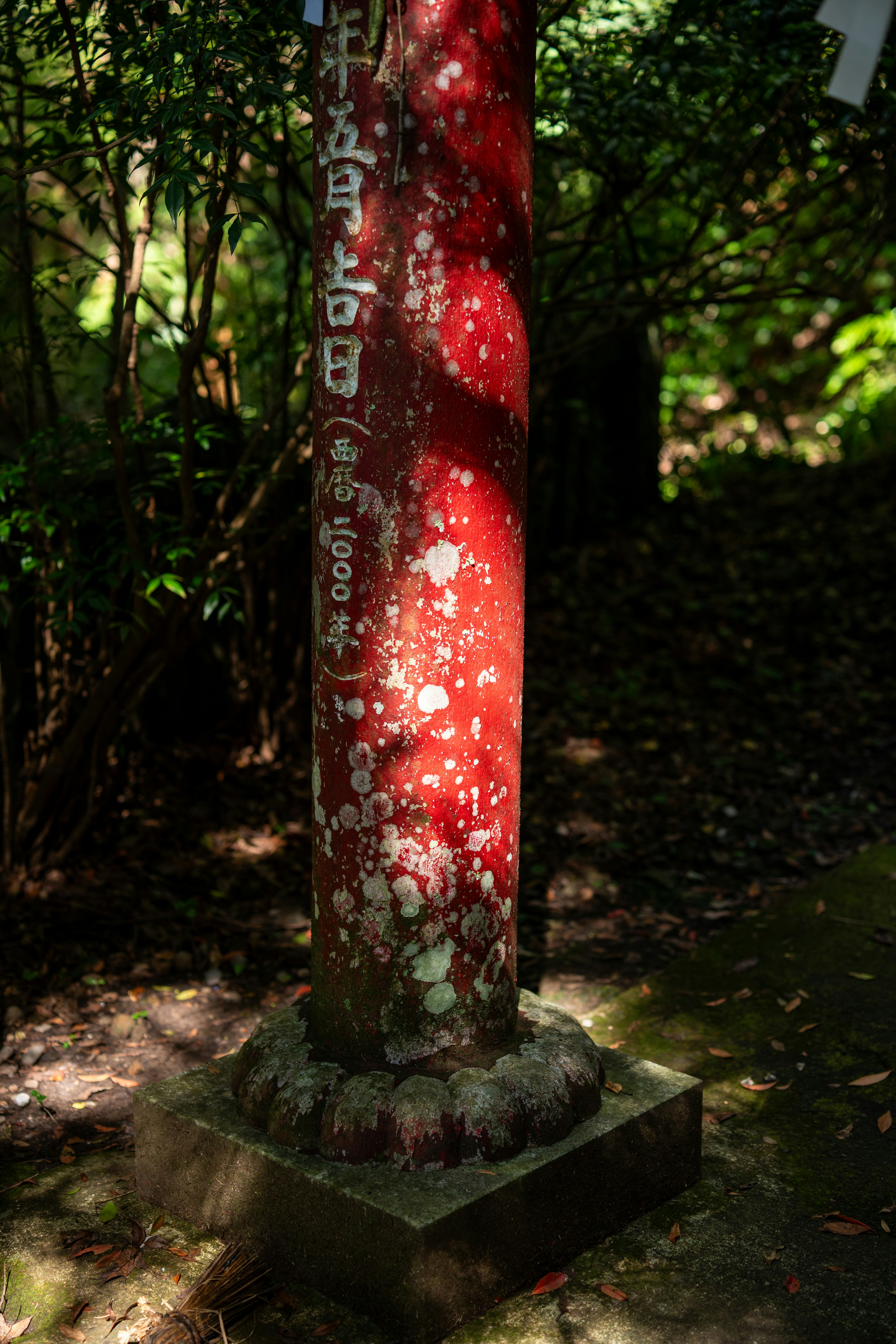 Whispers of Time: The Weathered Column