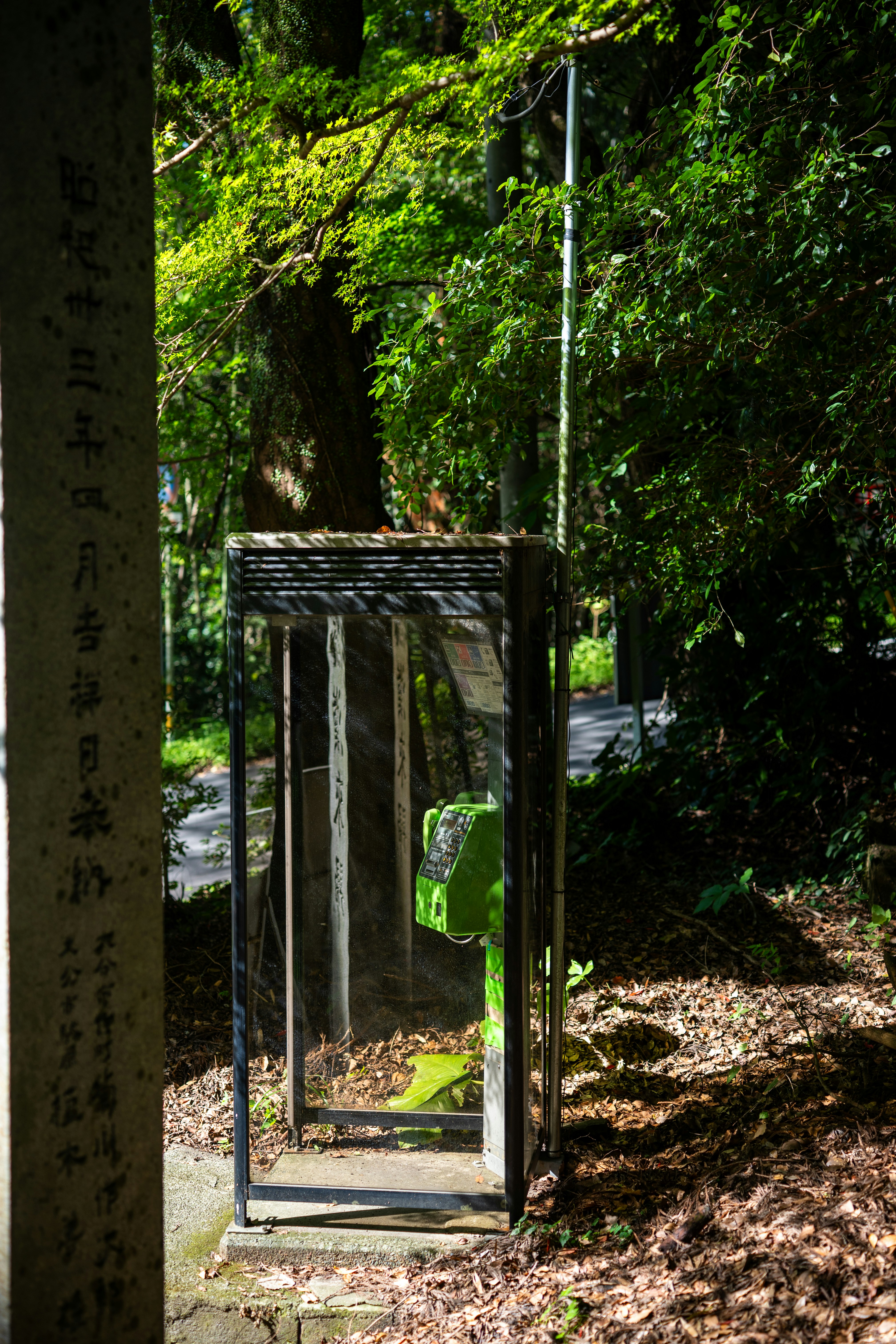 Green payphone in a glass booth in the woods