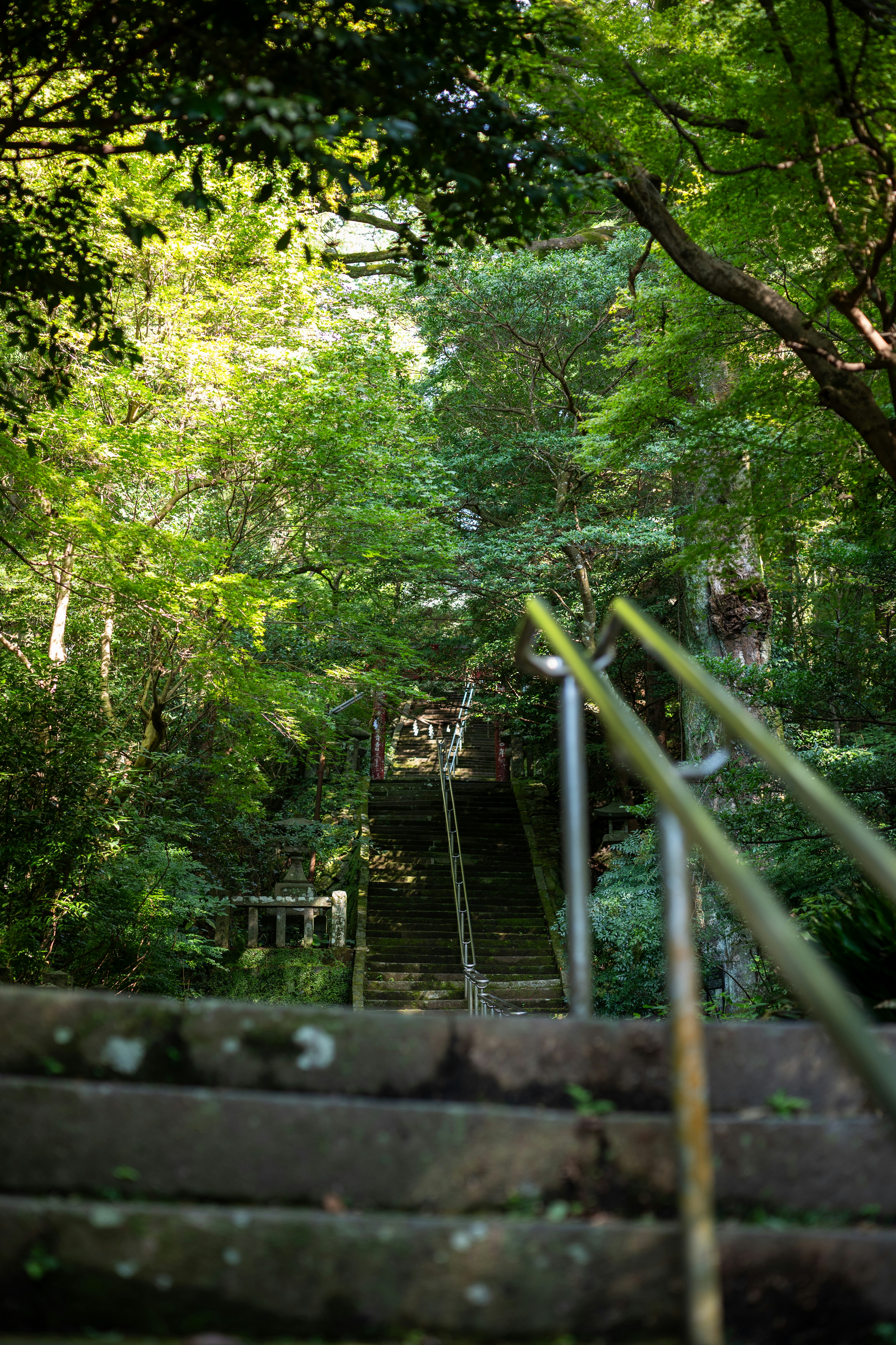 Whispers of the Ascending Path