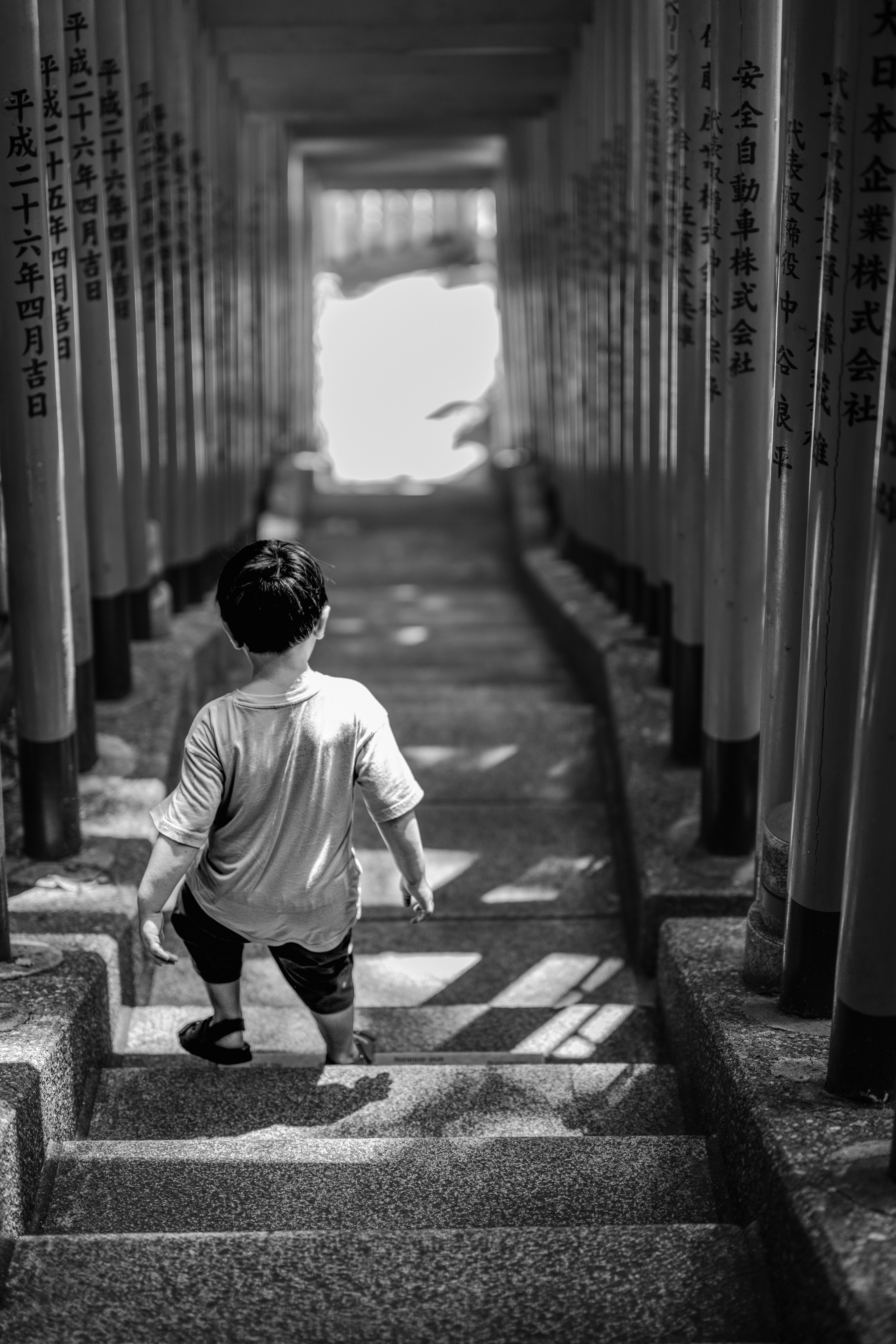 Journey Through the Whispering Columns