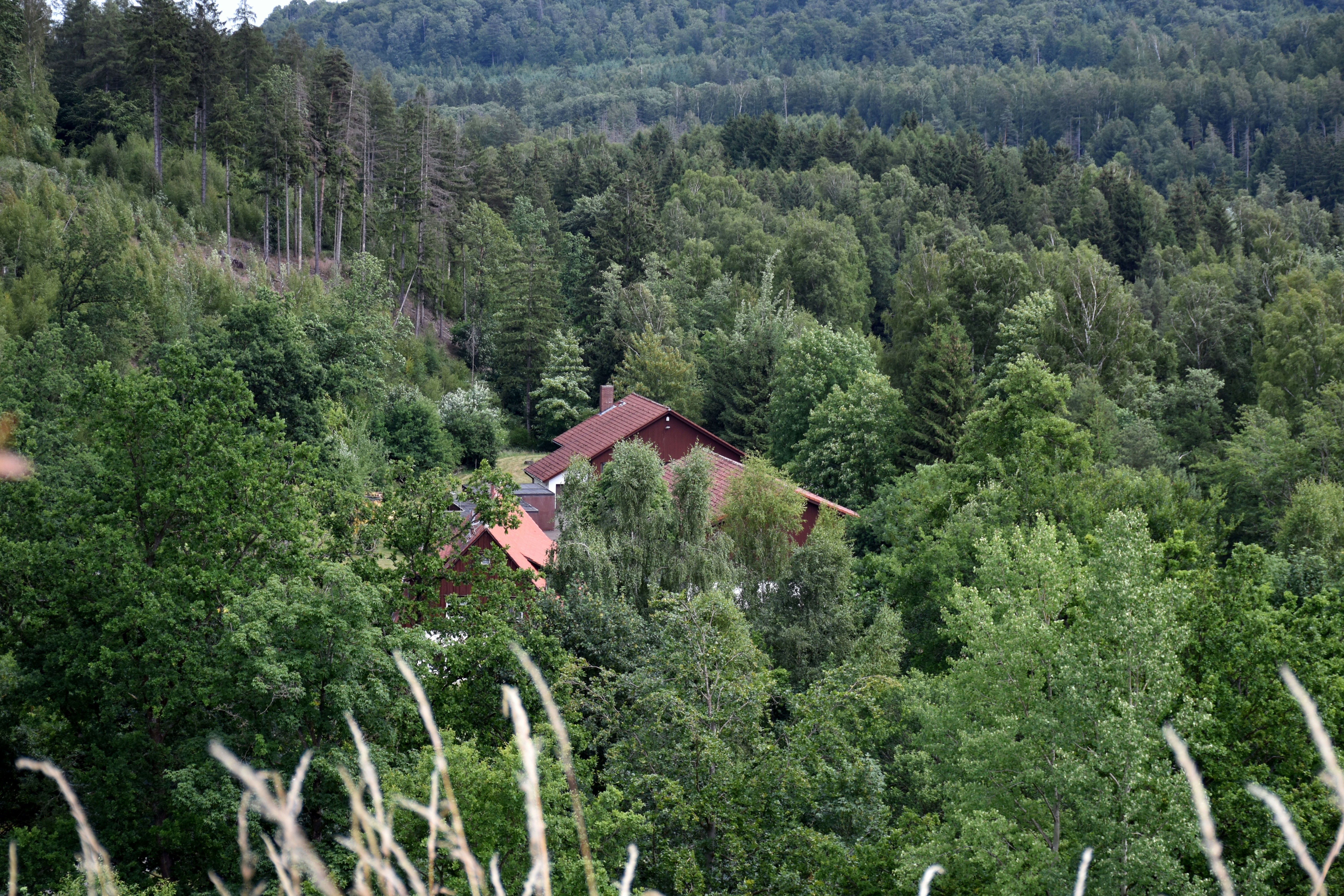 A house in the forest (Germany - travel - nature) | Houses nestled within a dense, green forest landscape.