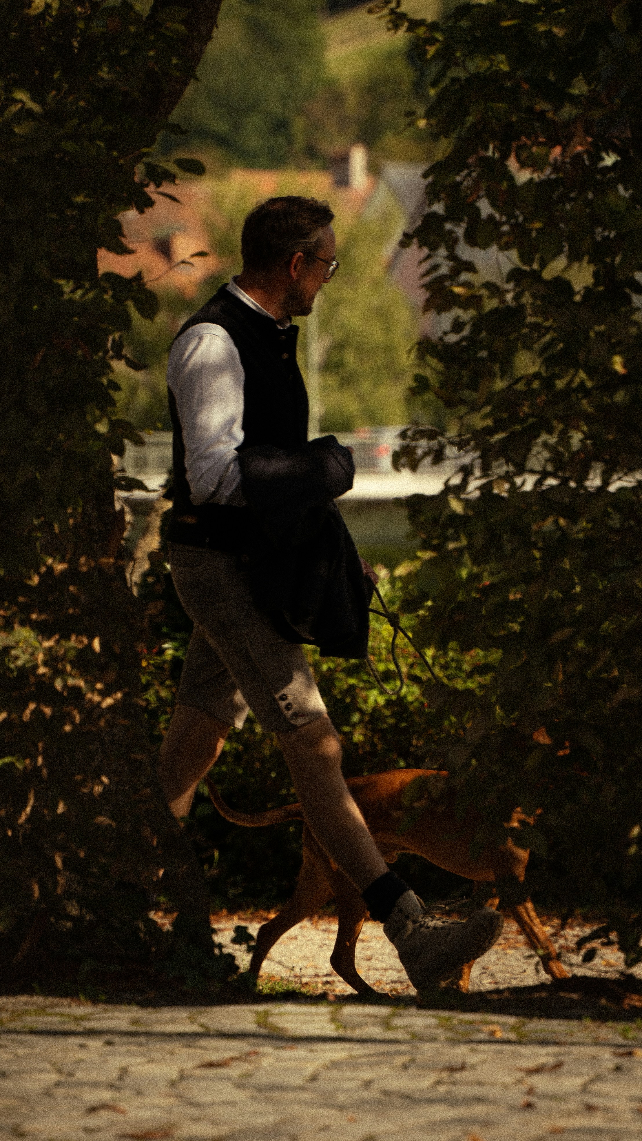 Quiet Shadowed Walk: A Man and His Dog Slip Through Dappled Light