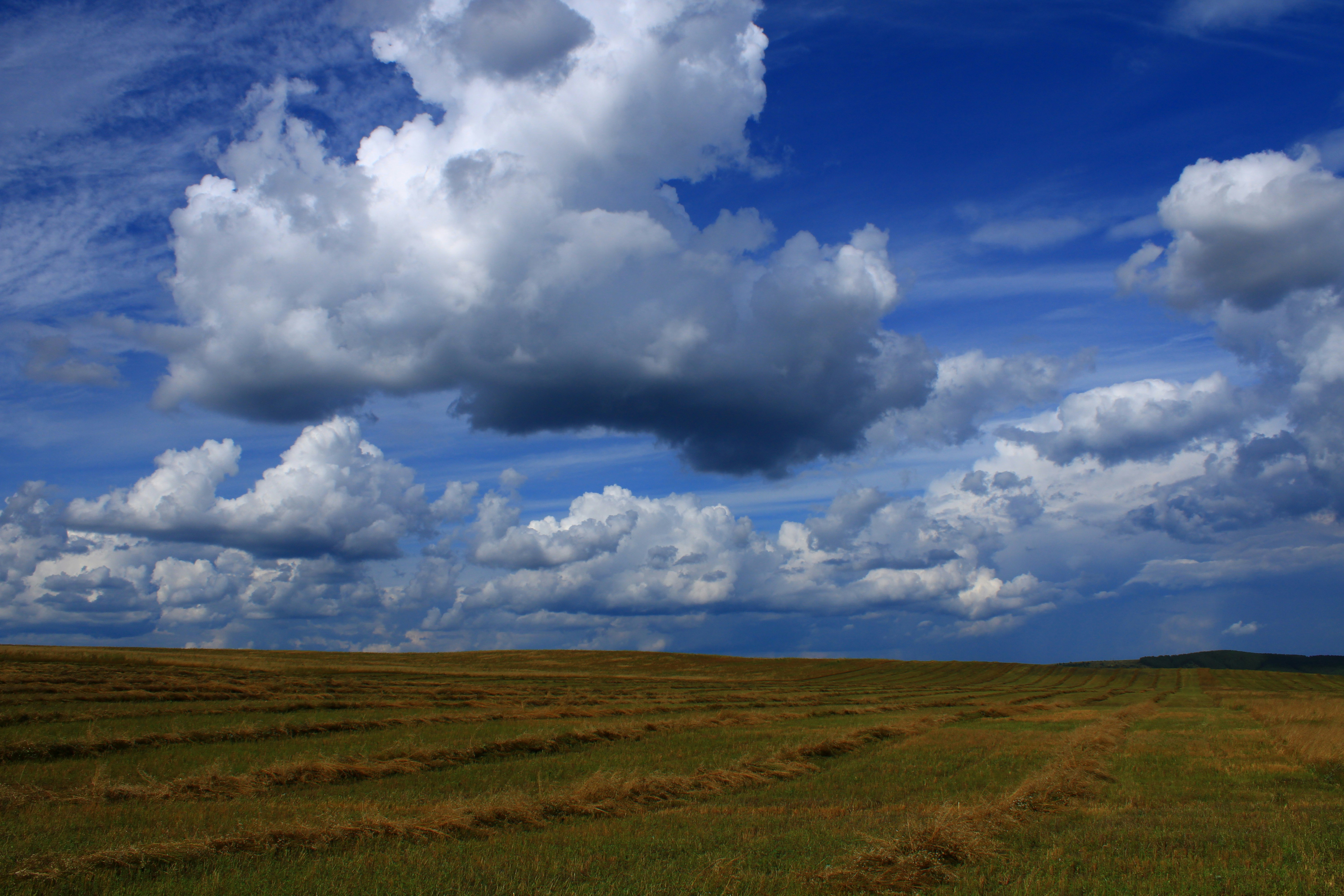 Fluffy white clouds drift across a vast blue sky.