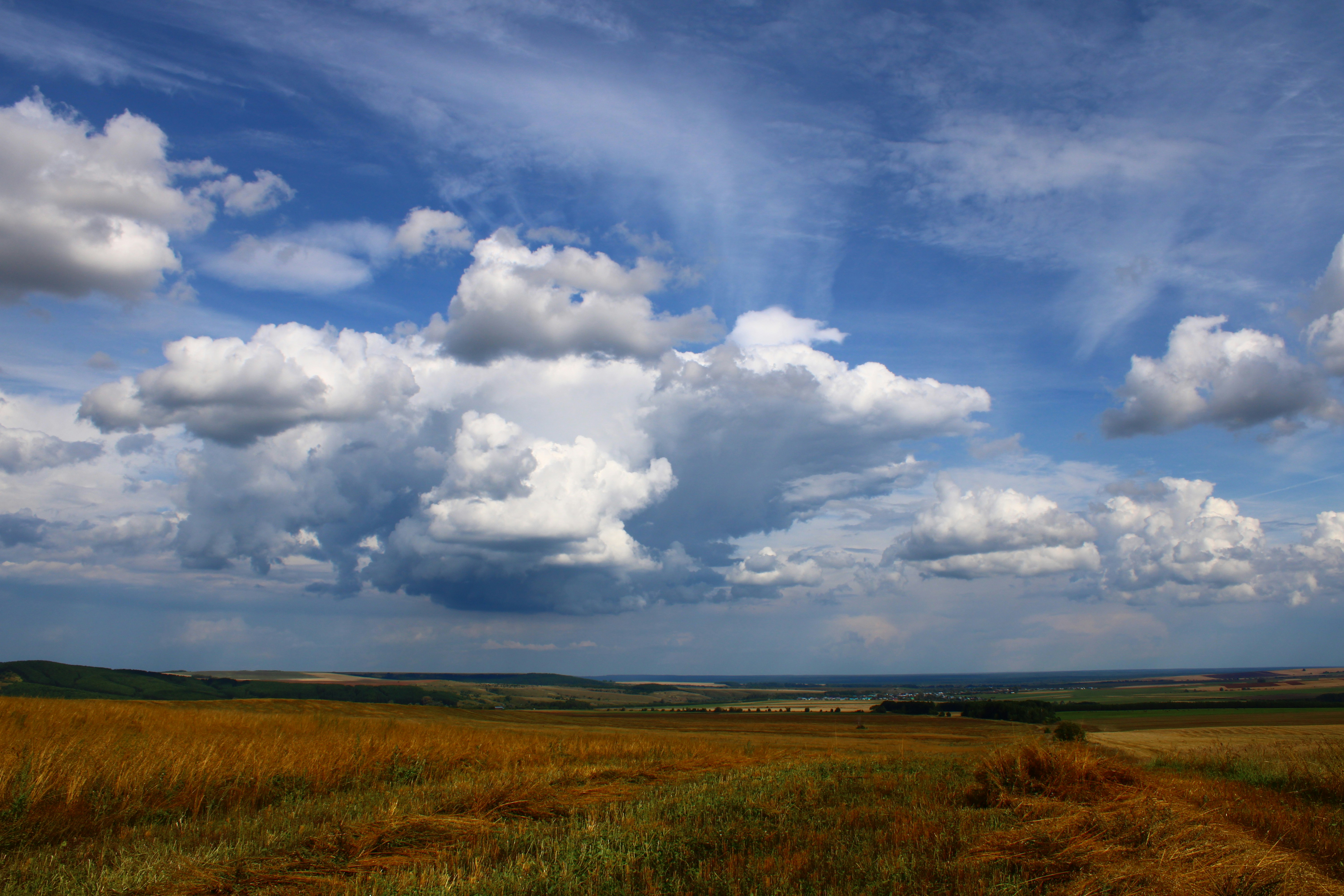 Vast golden field stretches under a dynamic sky filled with fluffy clouds, capturing the essence of rural tranquility.