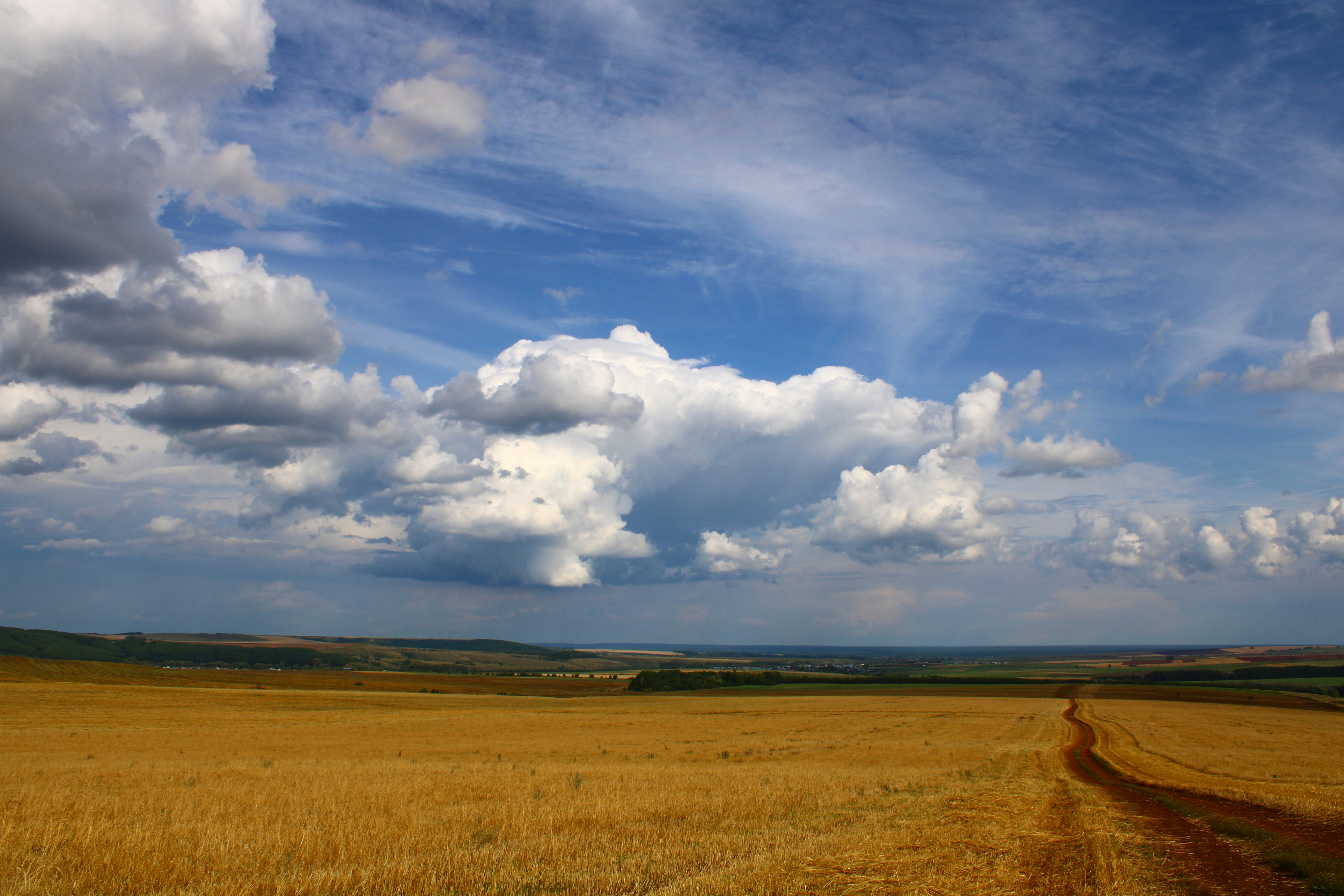 Golden wheat field under a vast sky filled with dynamic clouds, leading to a distant horizon. A winding dirt path cuts through the landscape.
