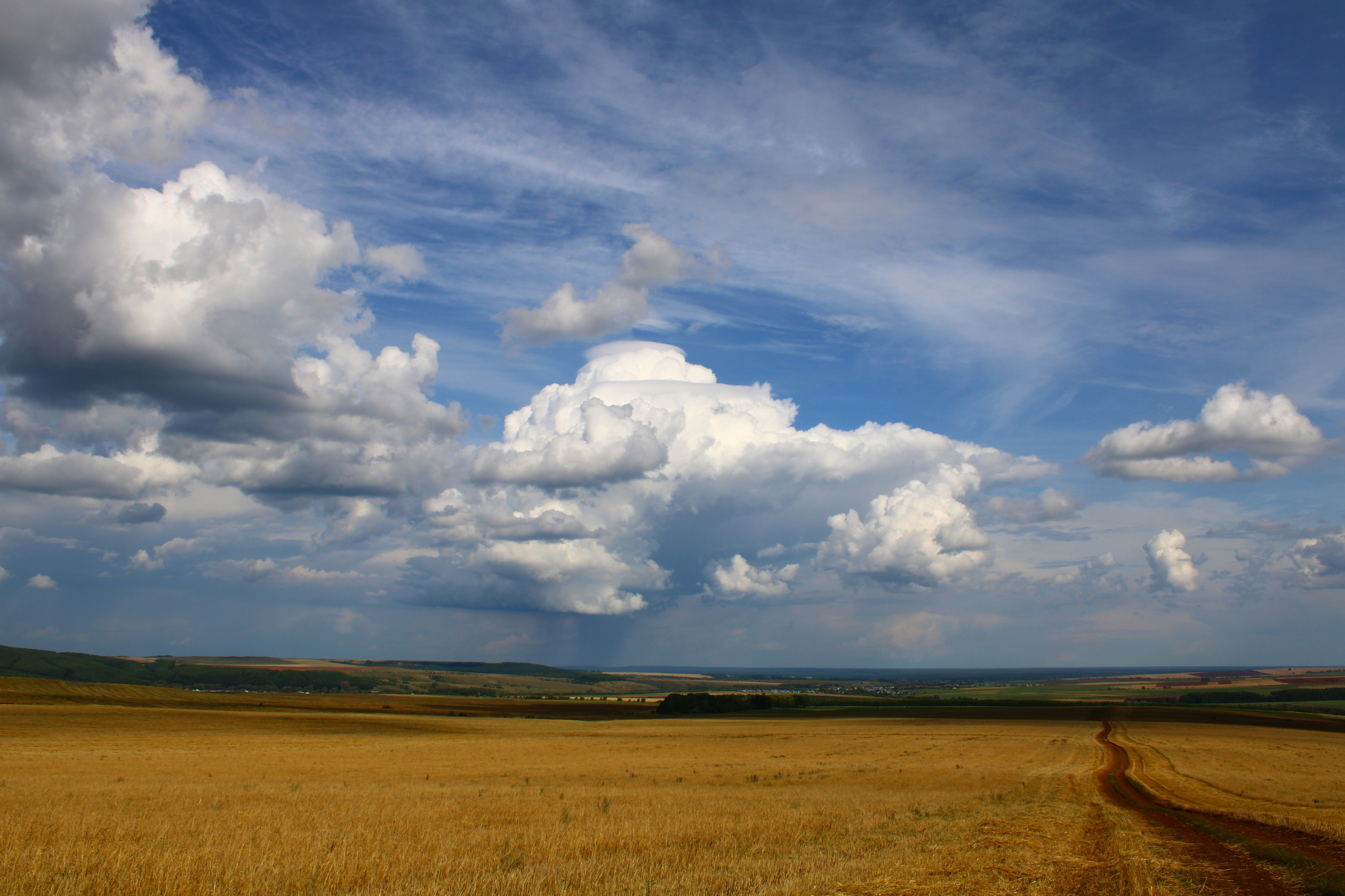 Golden field under a dramatic cloudy sky