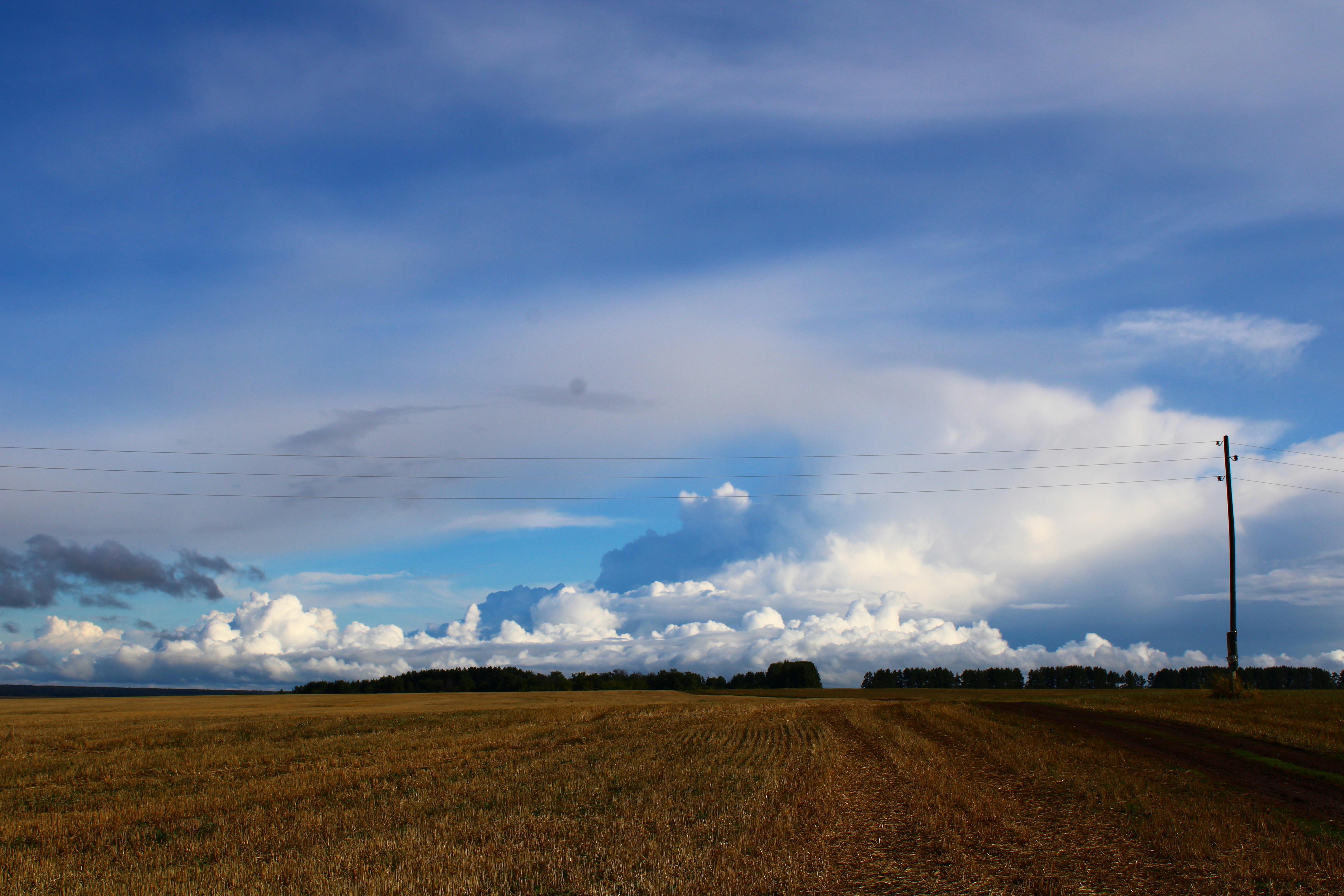 Vast field under a dramatic cloudy sky