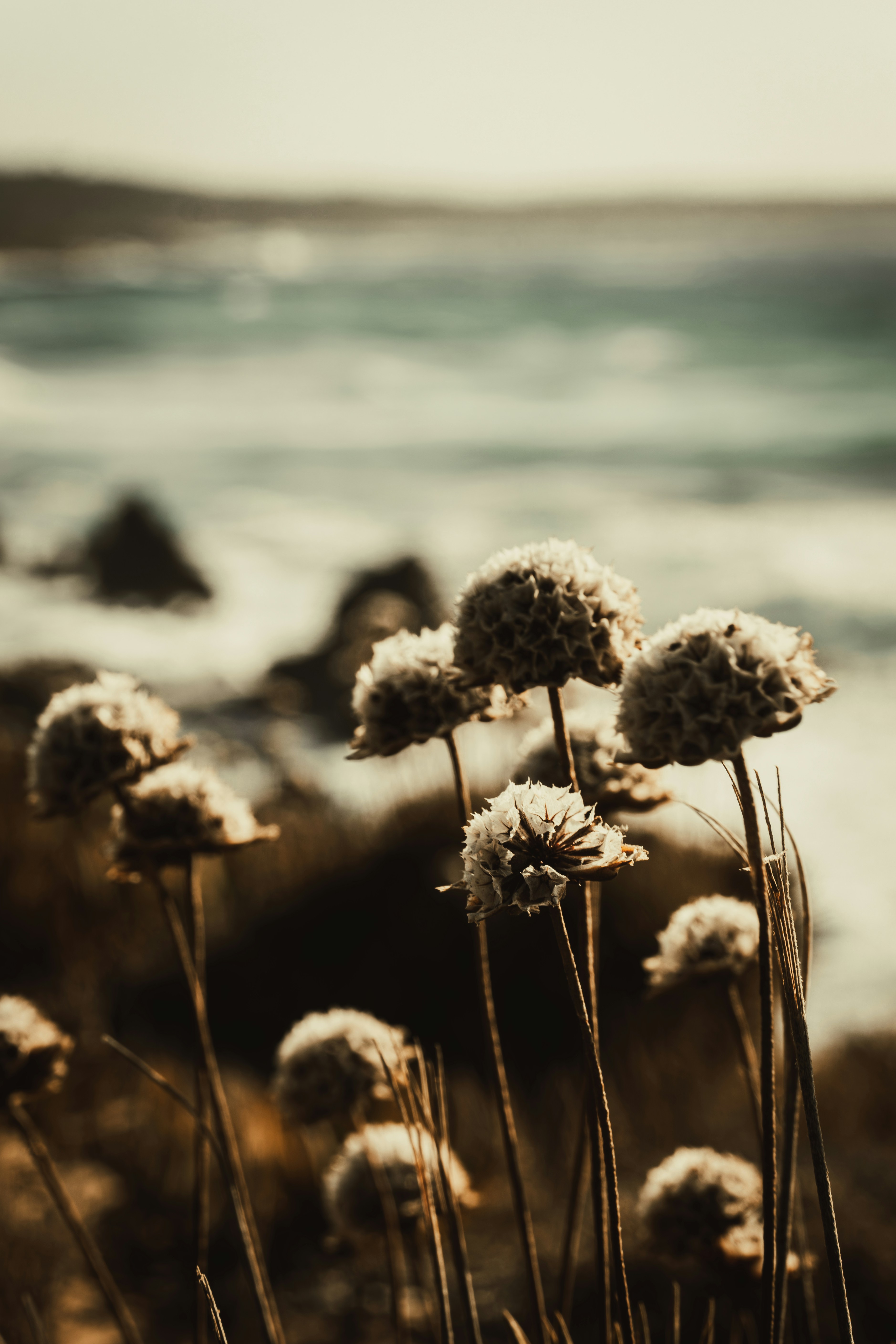 Chris Ha (@gries_ha) | Unsplash Photo Community