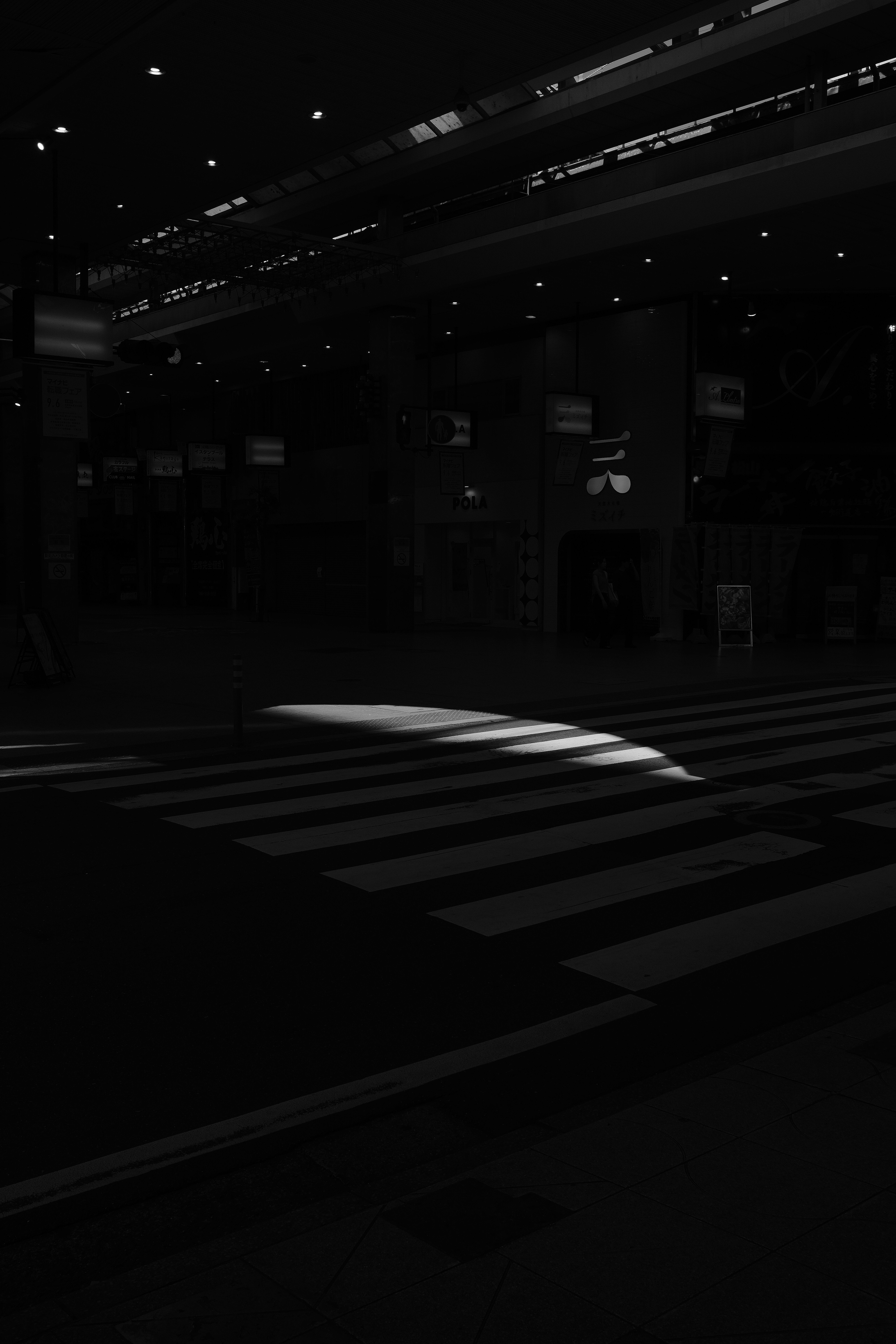 Whispers of Light in Urban Shadows