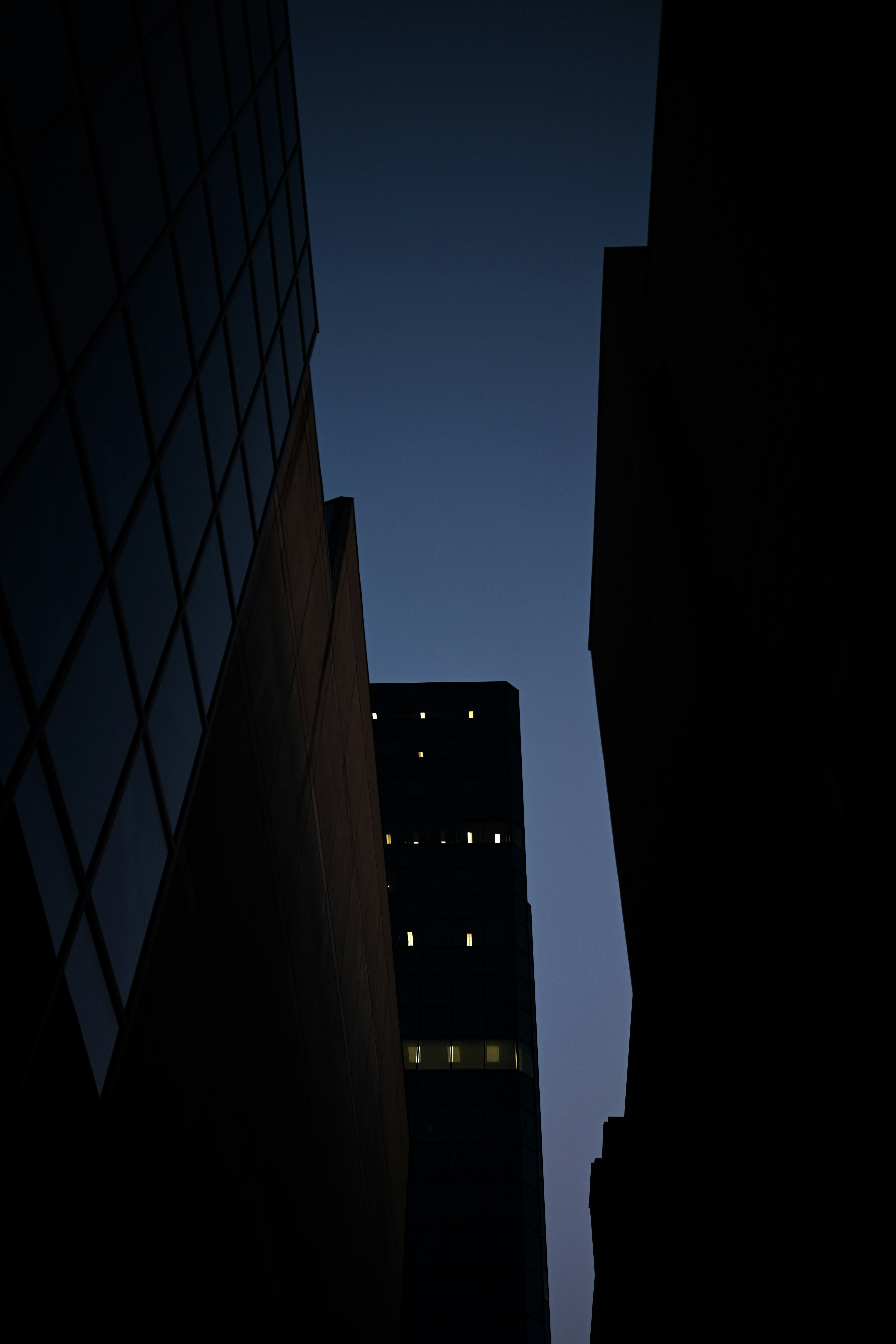 Urban Silhouette: A Dance of Shadows and Light