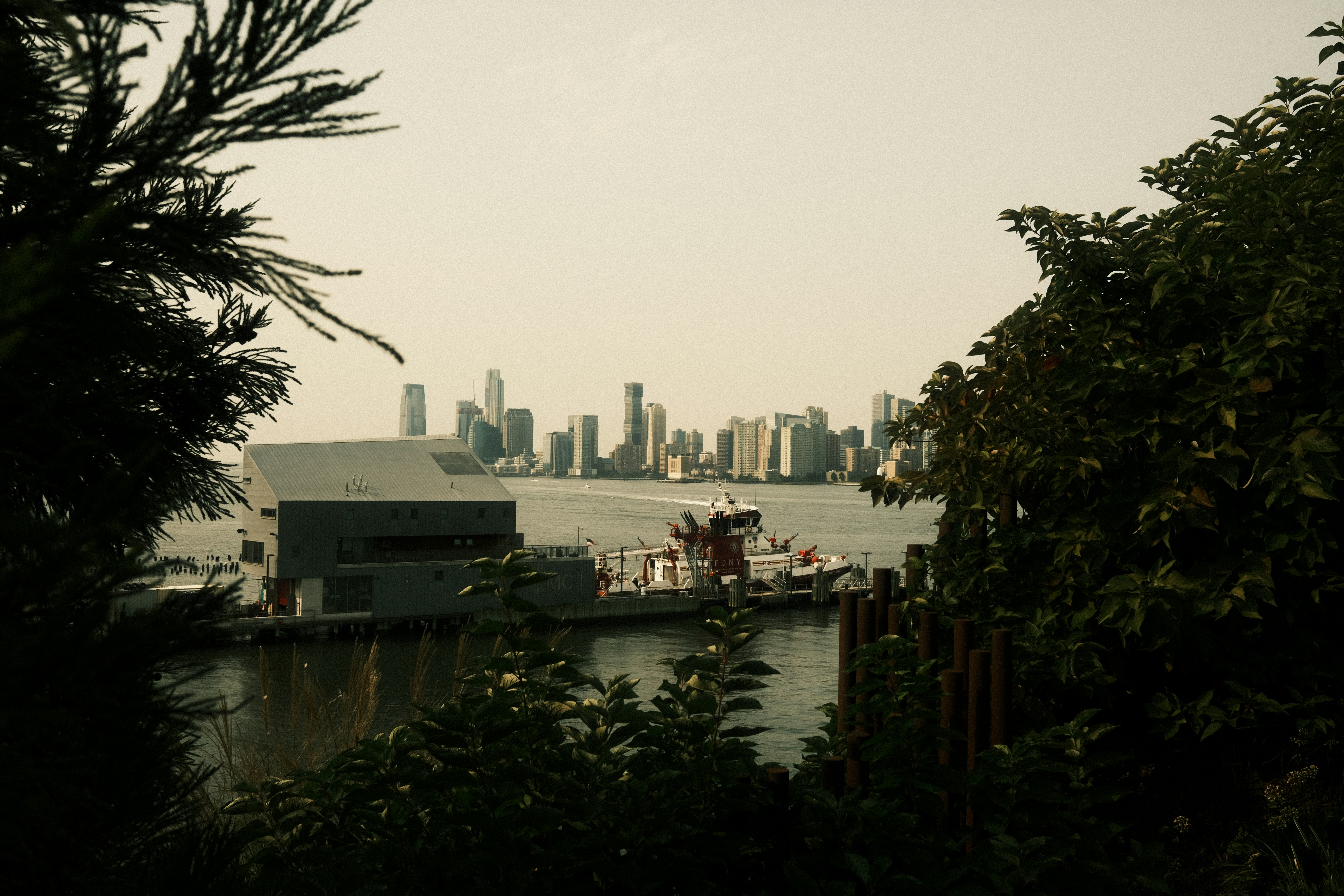 City skyline viewed through trees across water