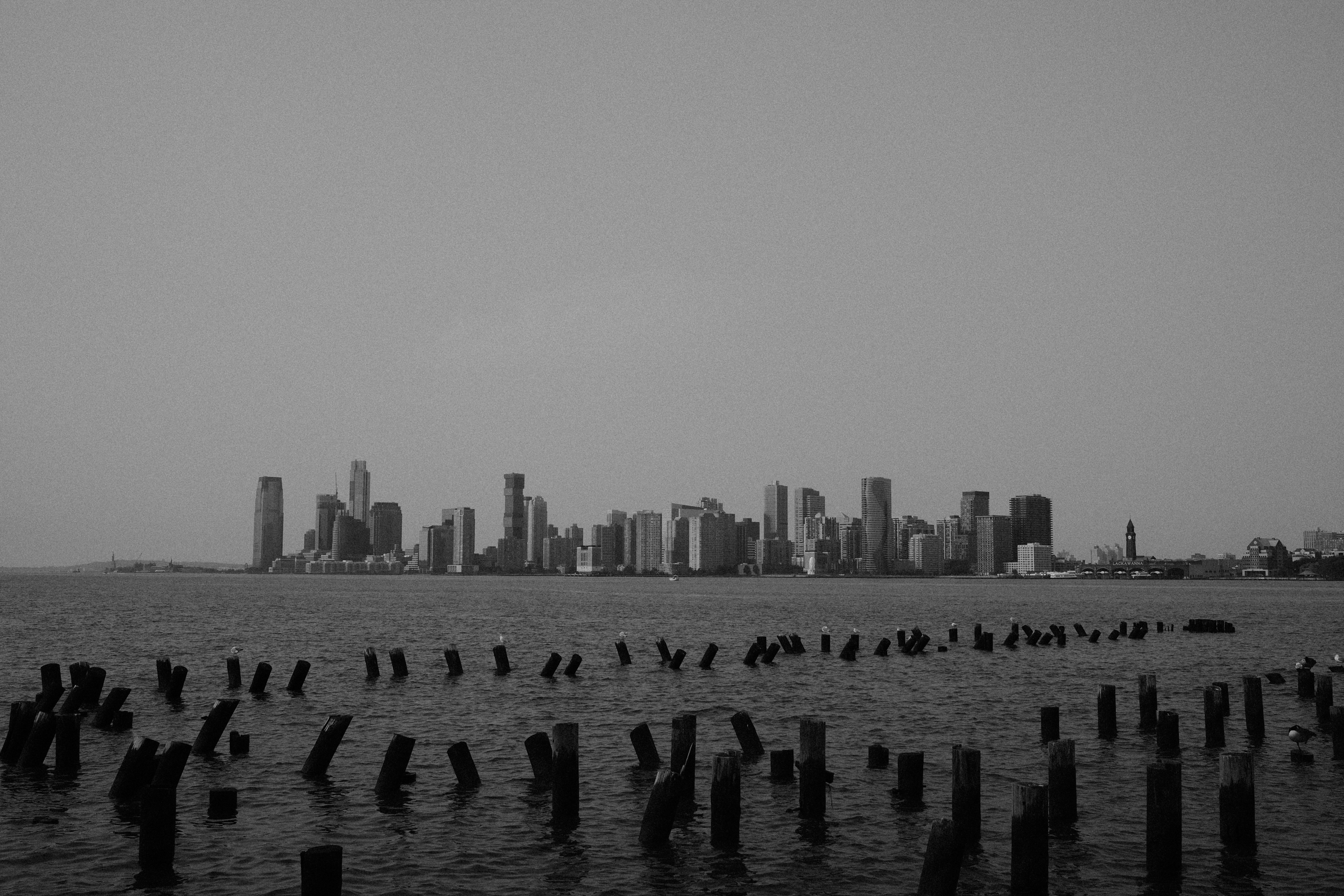 Urban Echoes: A Monochrome Skyline