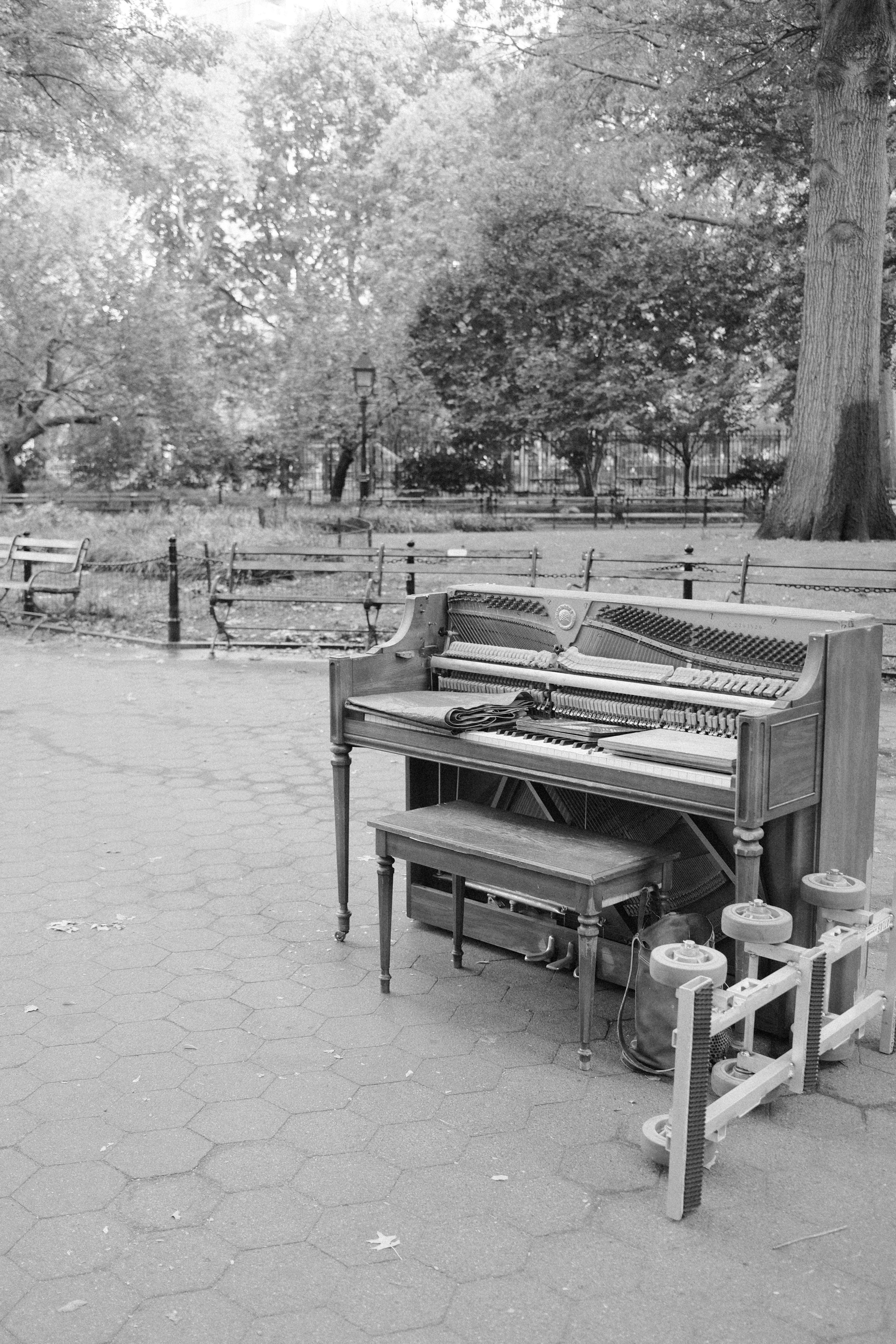 Melody in the Park: A Forgotten Tune