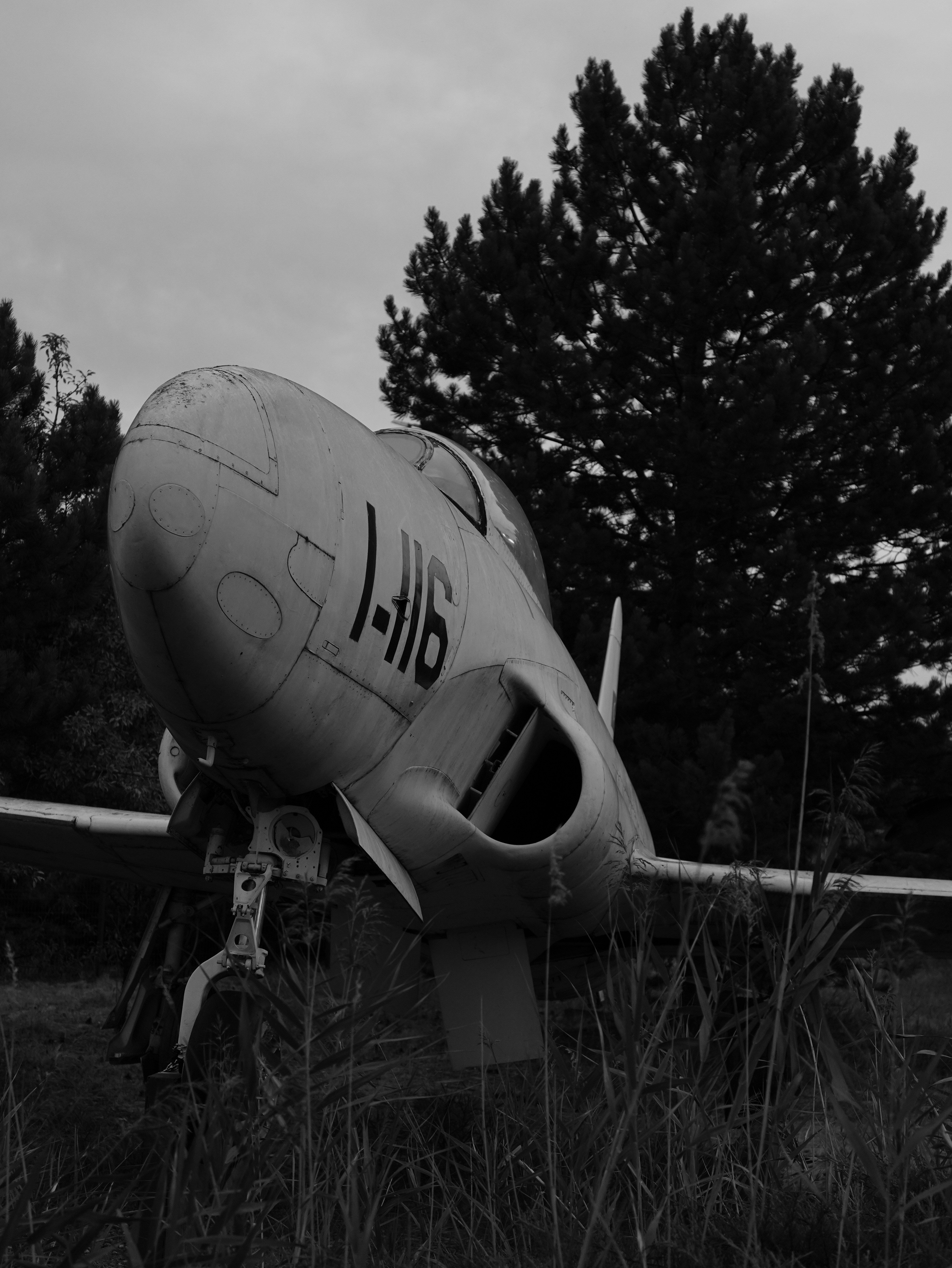 Whispers of the Past: An Abandoned Aircraft's Tale