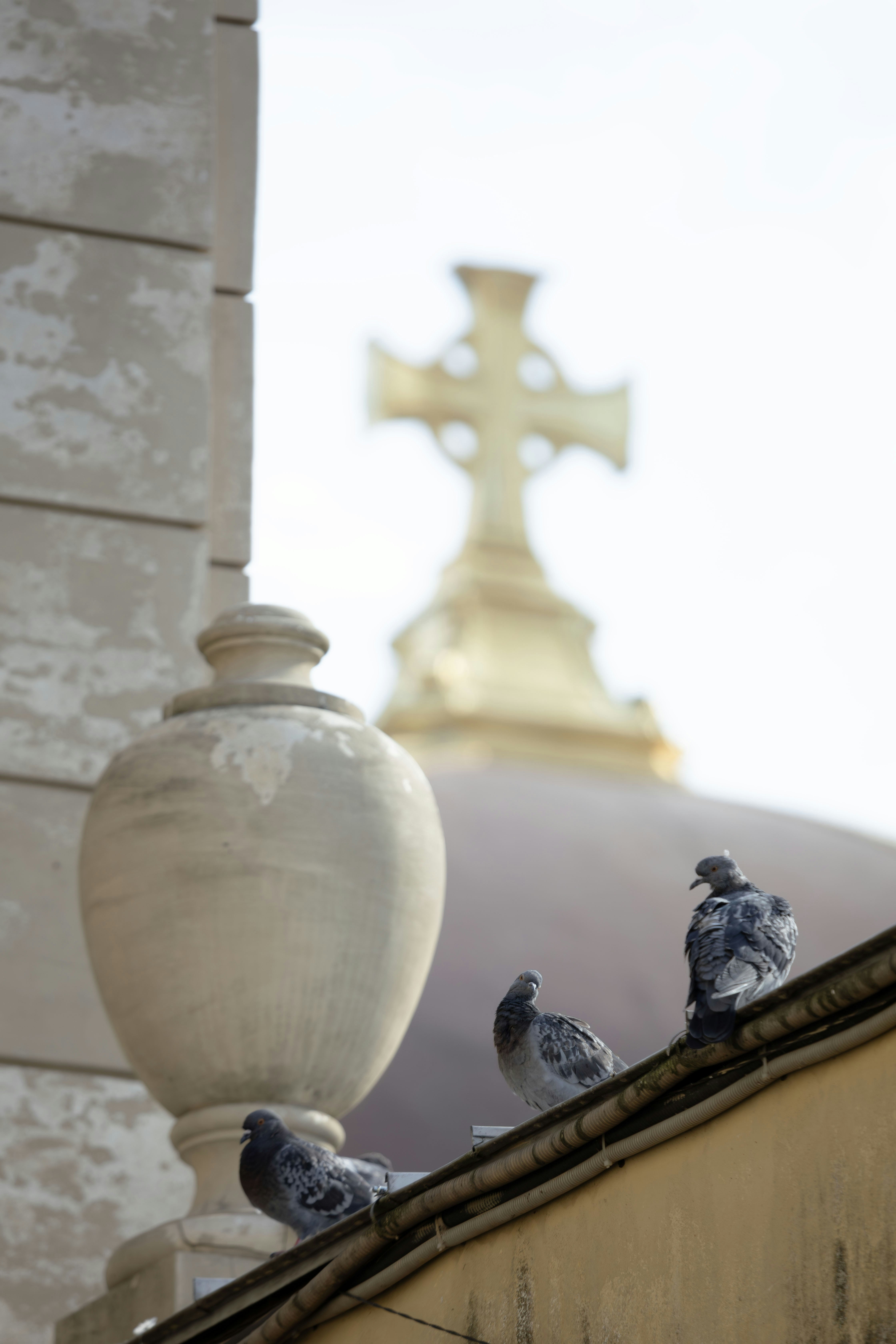 Pigeons Perched Beneath Sacred Heights