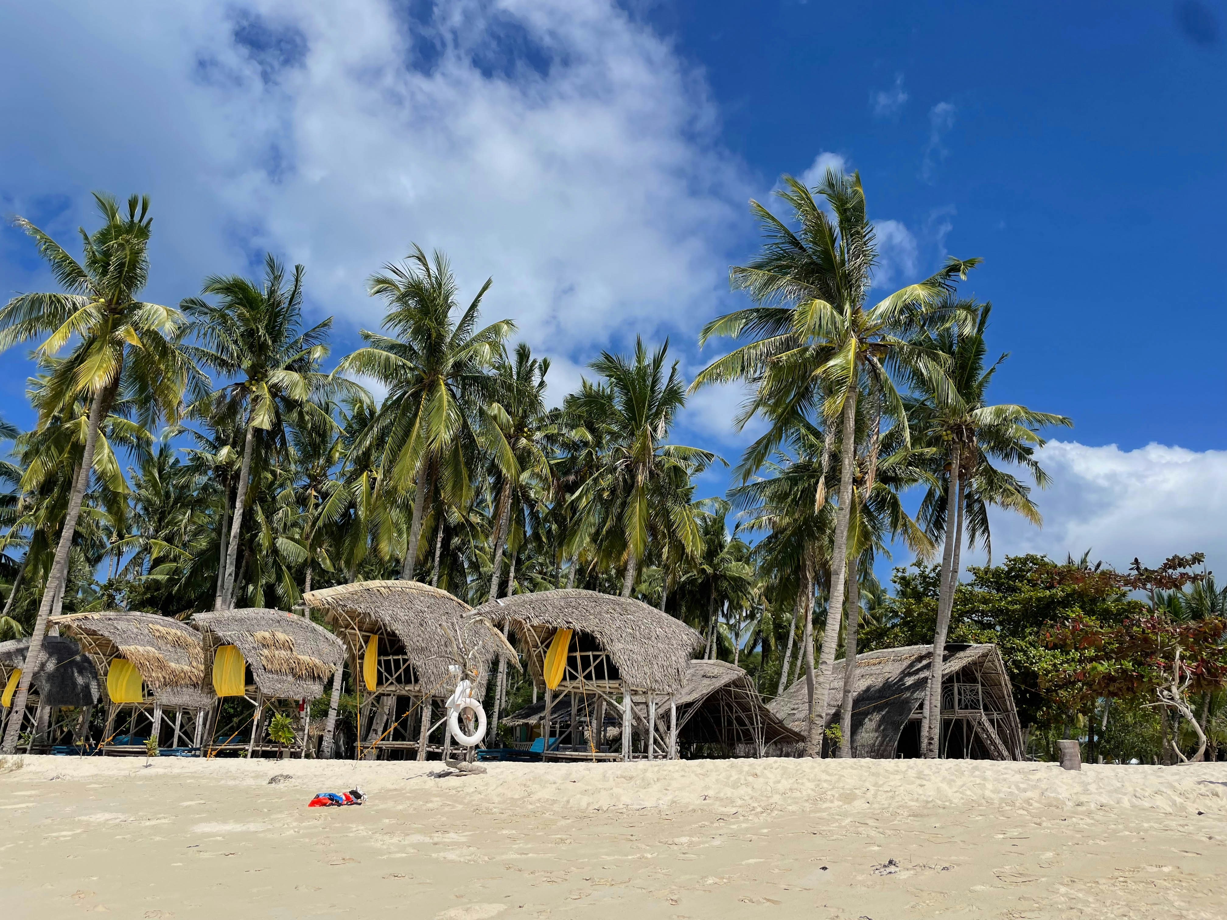 Stylish beach huts nestled among palm trees on a sandy shore under a bright blue sky.
