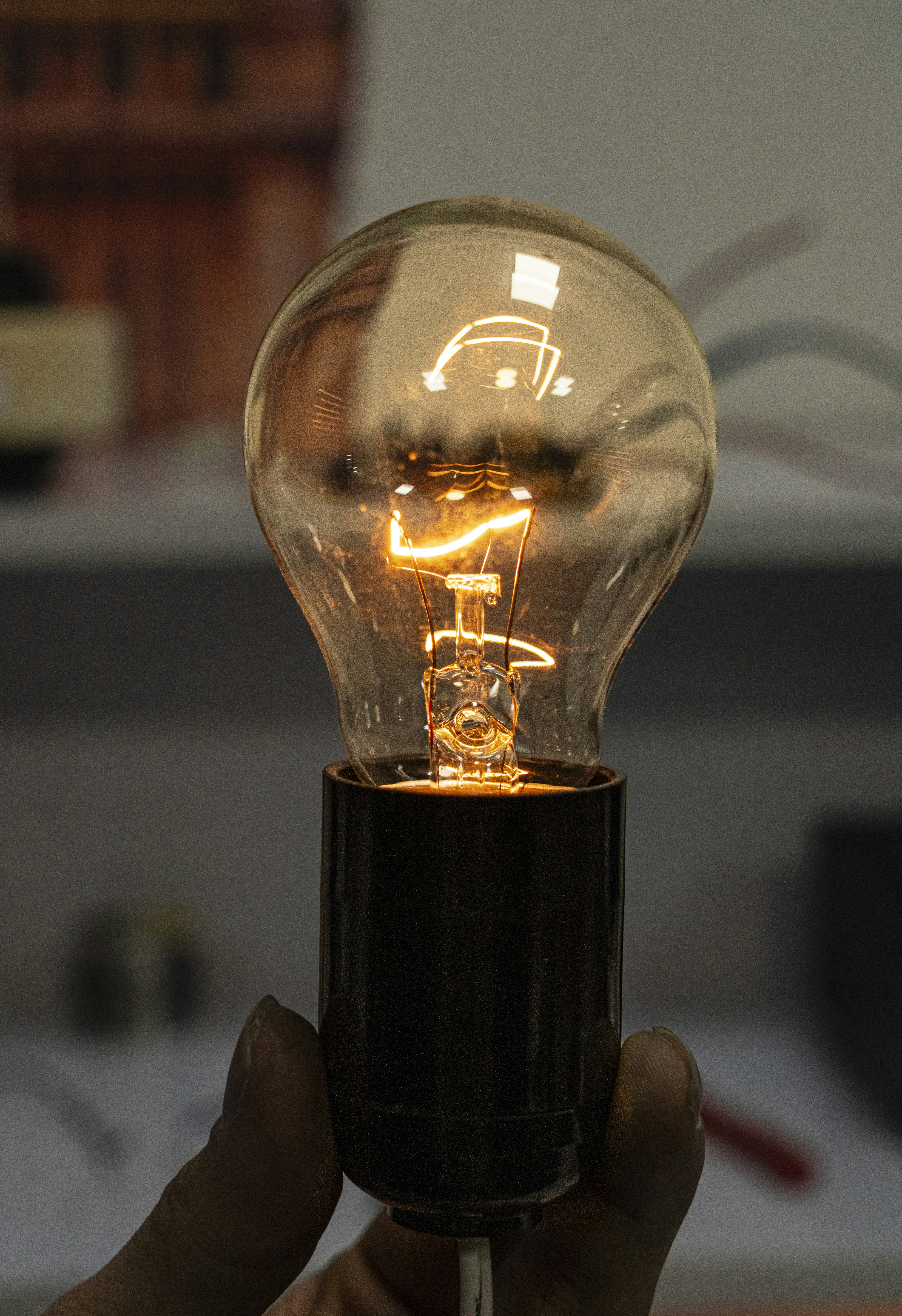What Are the Different Types of Light Bulbs?