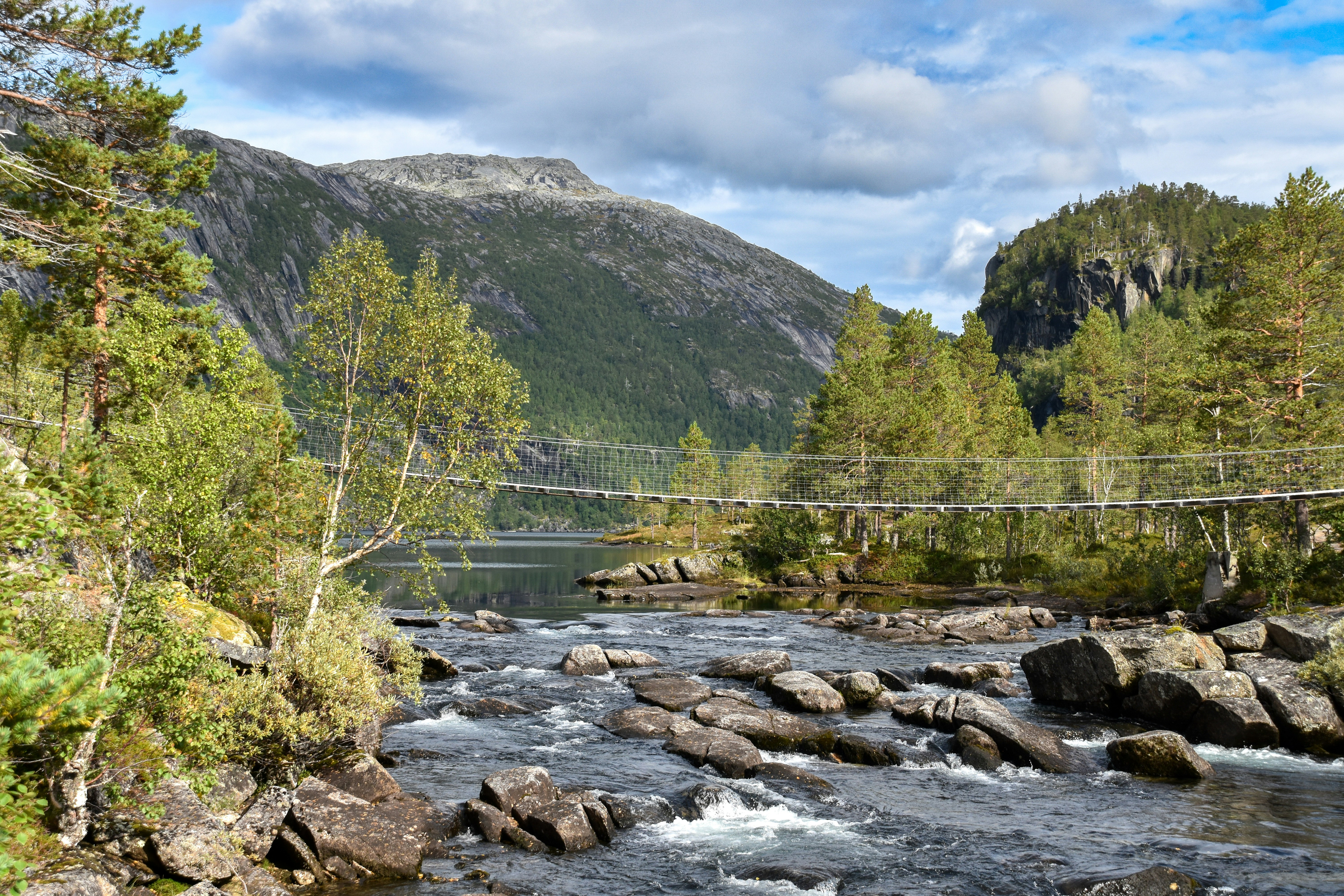 Suspended Serenity: A Bridge Over Tranquil Waters