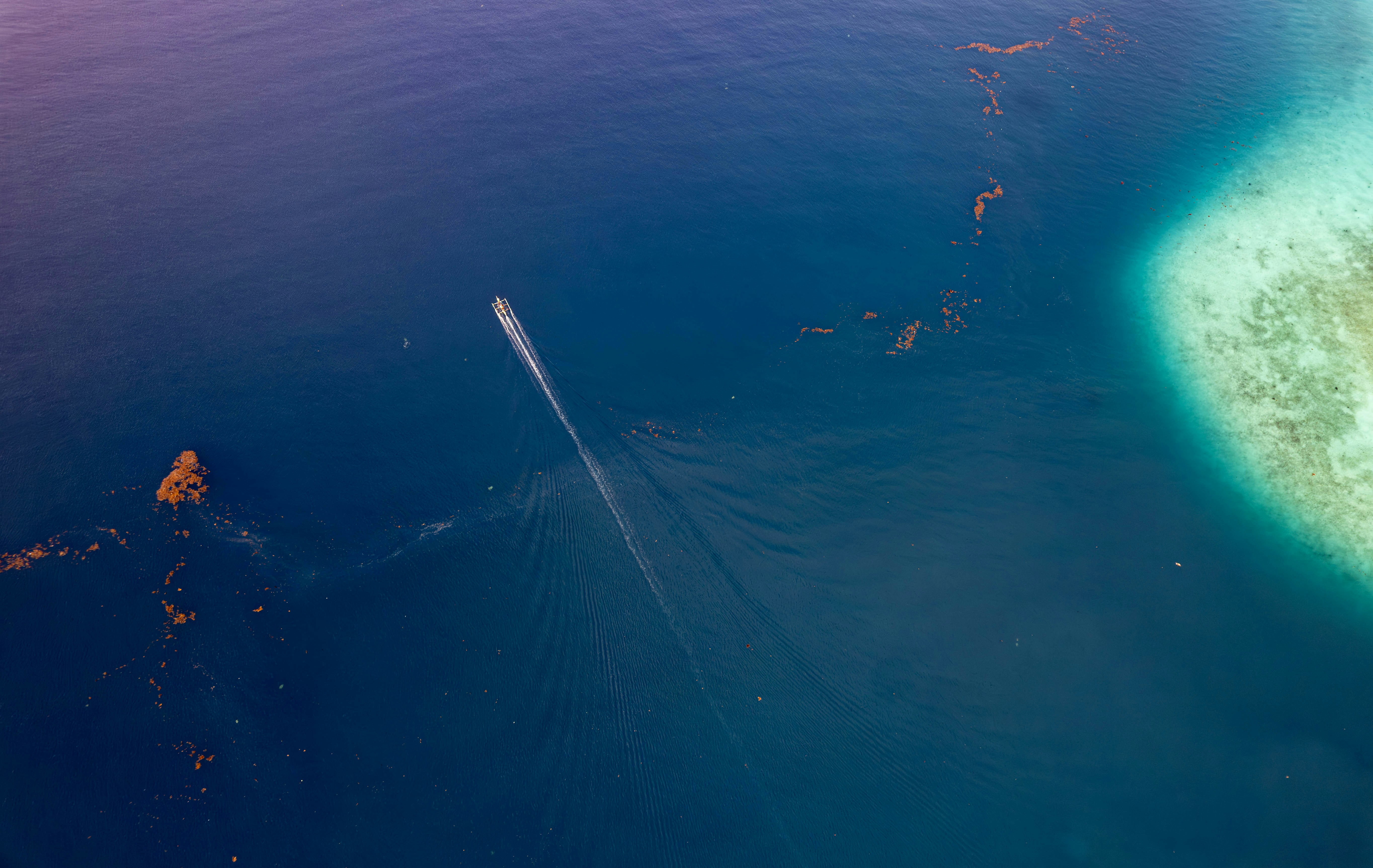 Ebb and Flow: The Journey Across Tranquil Waters
