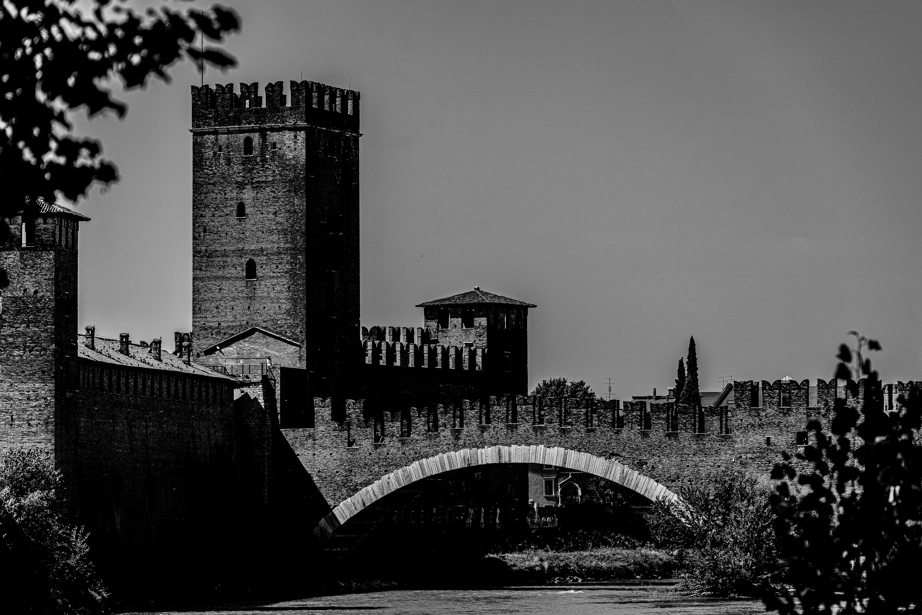 Photo by Massimo Marcandalli with Sony Alpha 7 IV